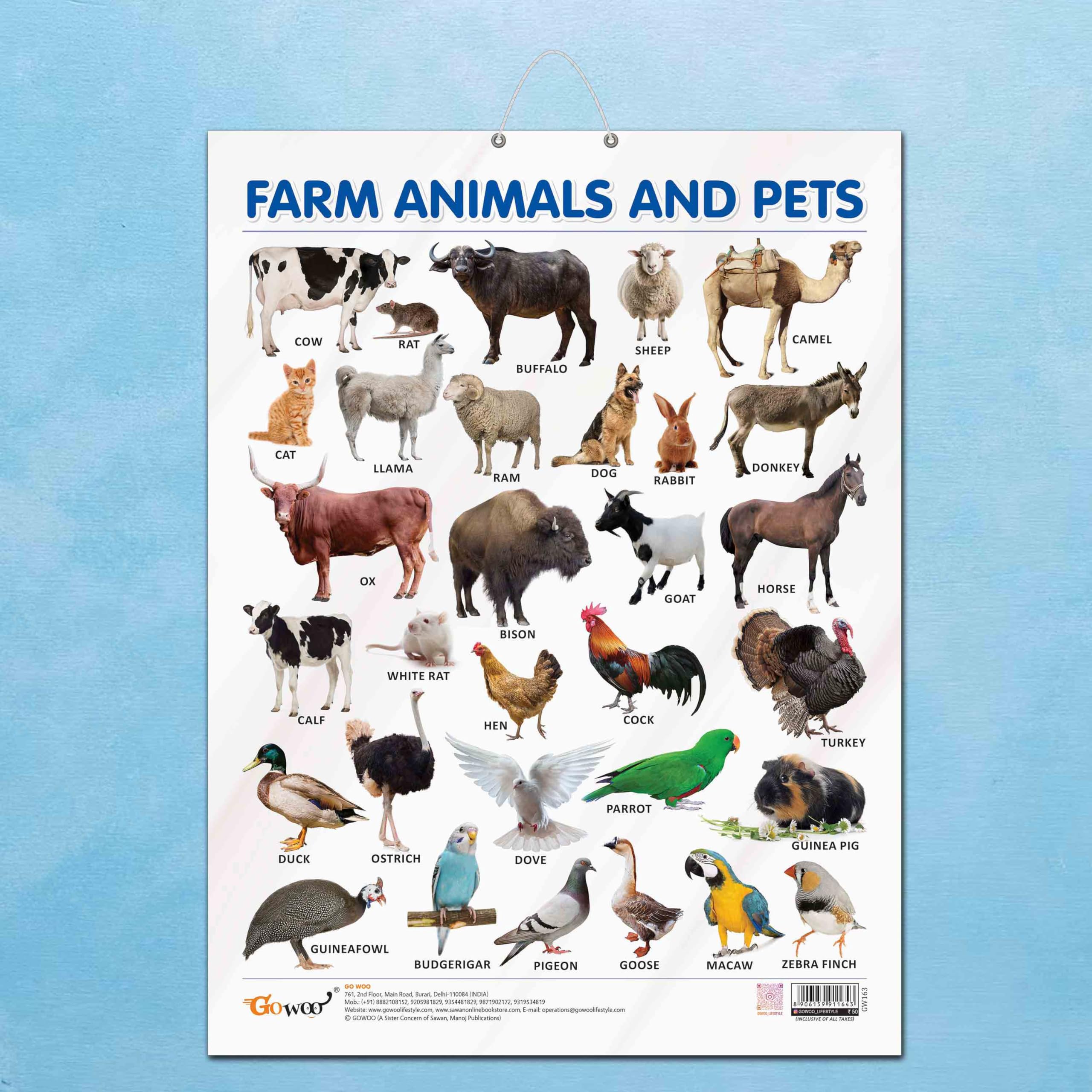Real Farm Animals Pictures Chart Say Hello To Our Brand New Woodland