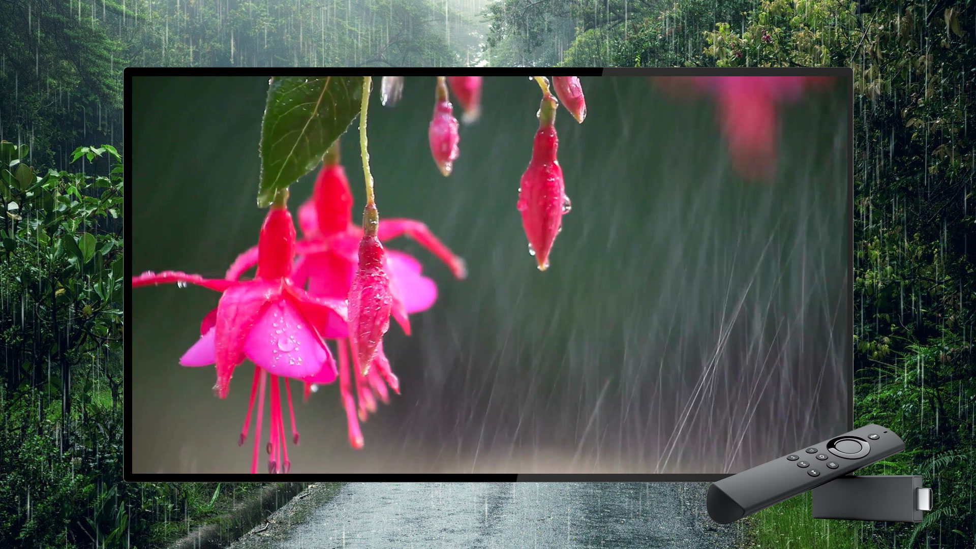 Tranquil Nights - Sleep Aid with Relaxing Rain and Thunder Sounds for ...