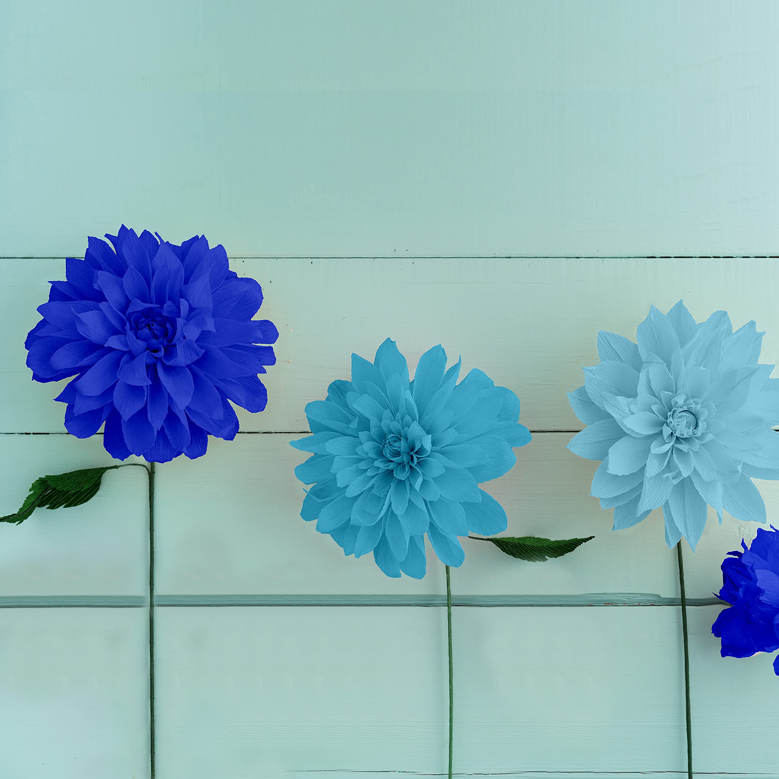 DIY Party Backdrop Decoration CC Wonderland Zone 6 Rolls Green Crepe ...