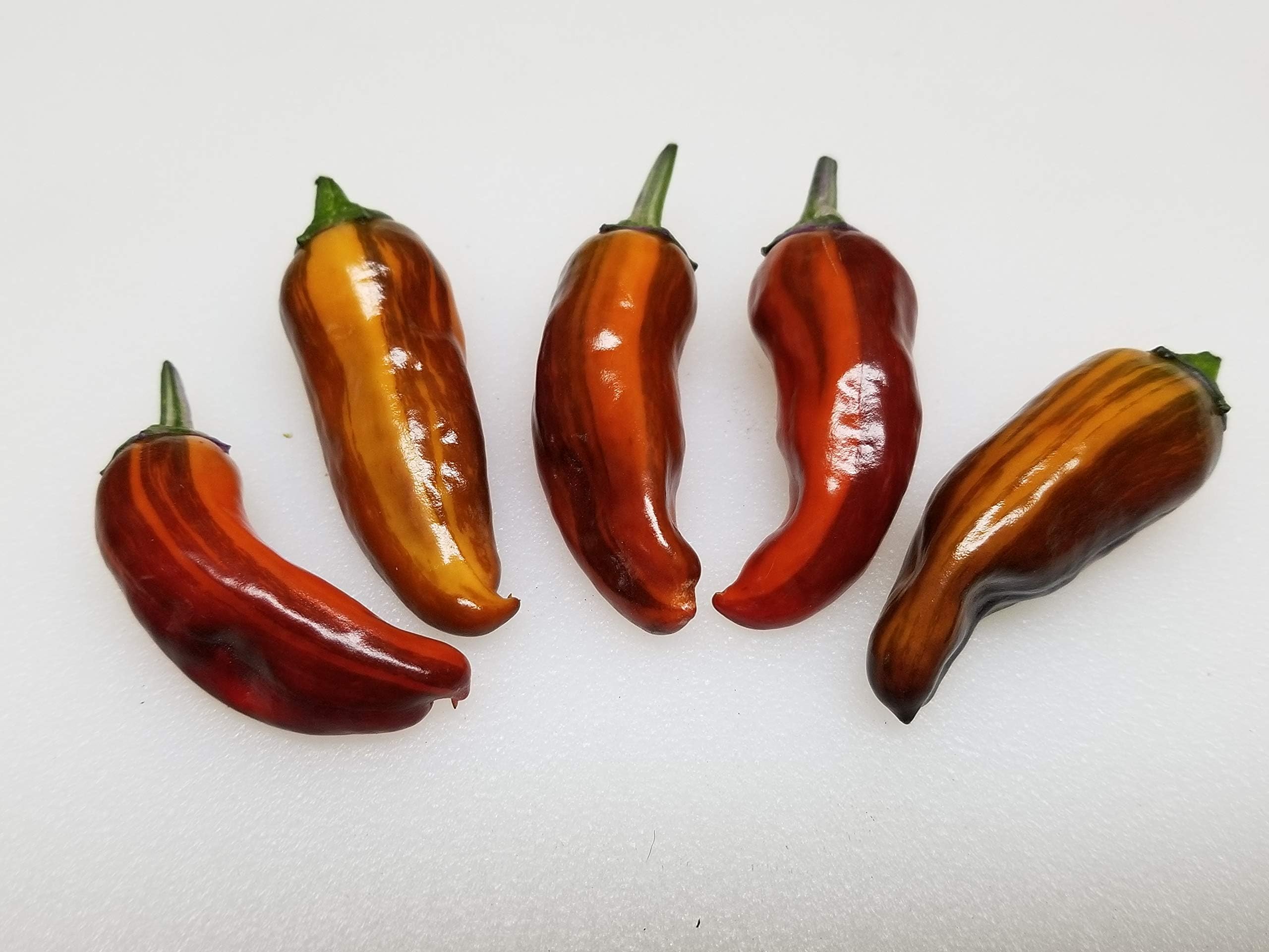 Amazon.com : Fish Pepper Seeds-Original Heirloom 10+ Seeds : Patio ...
