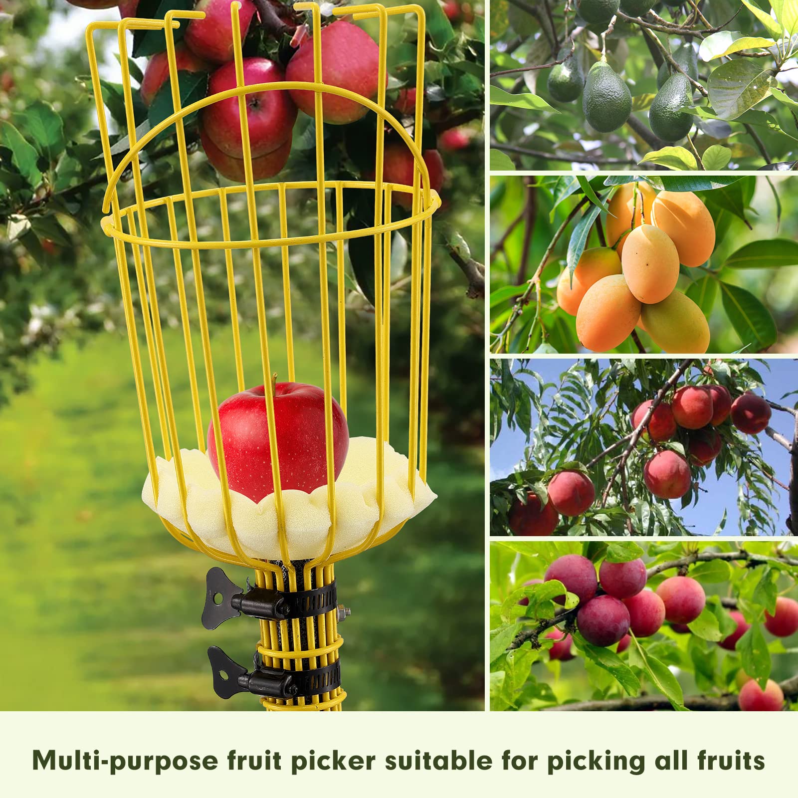INFLATION Fruit Picker Tool,Apple Picker Pole with Basket,5.5 FT ...