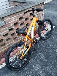Amazon.com : Diamondback Bicycles Cobra 20 Youth 20" Wheel Mountain ...