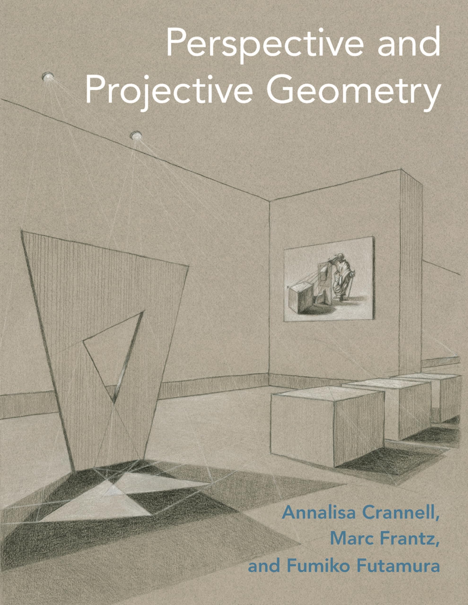 Amazon.com: Perspective and Projective Geometry: 9780691196565 ...