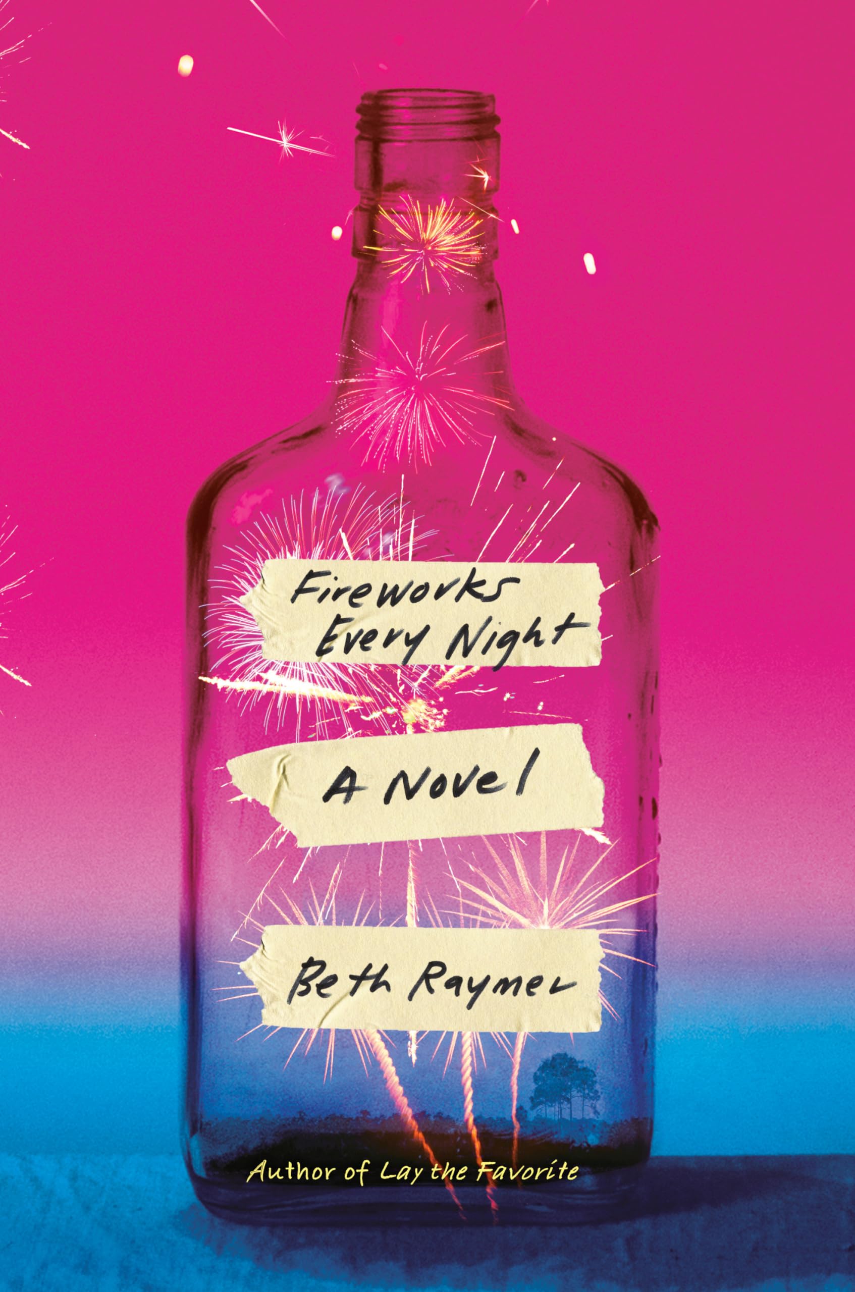 Fireworks Every Night: A Novel: Raymer, Beth: 9780812993165: Amazon.com ...