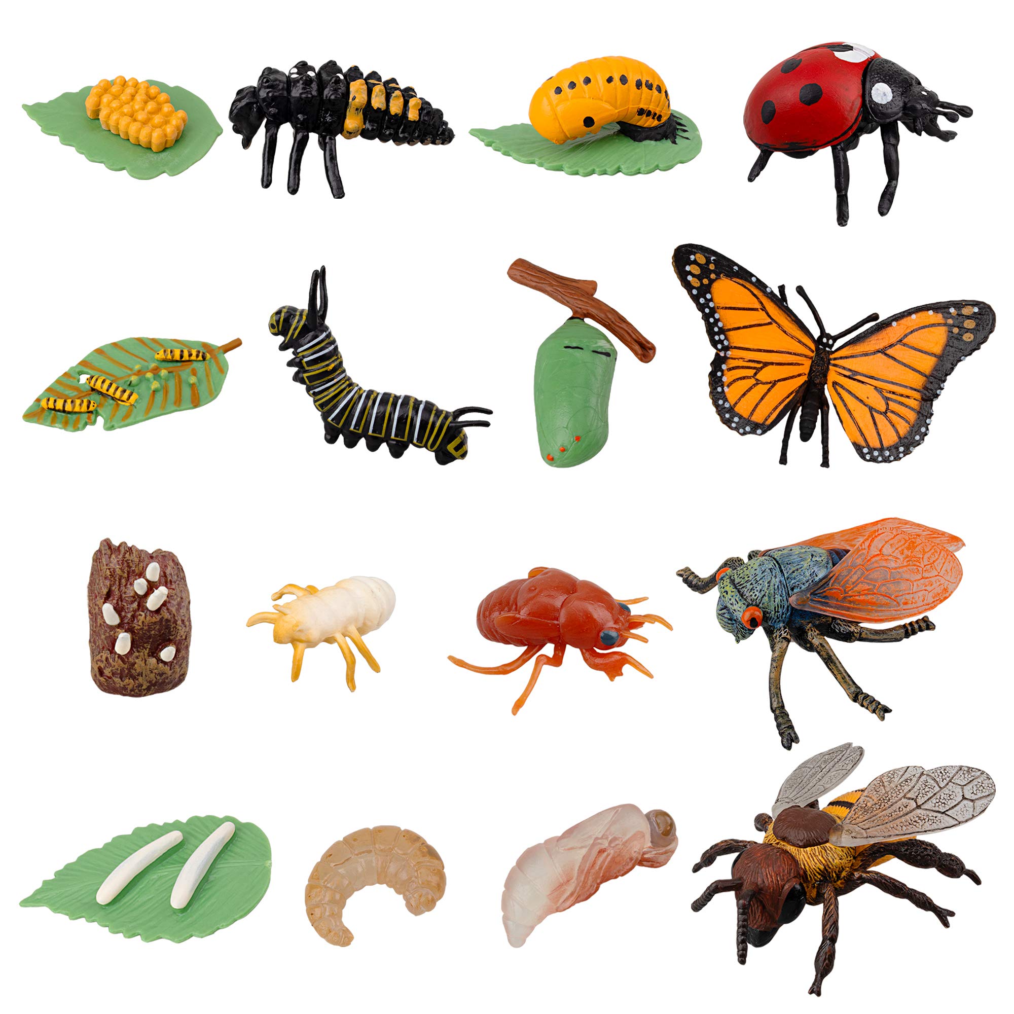 TOYMANY 16PCS Insect Figurines Life Cycle of Monarch Butterfly,Honey ...