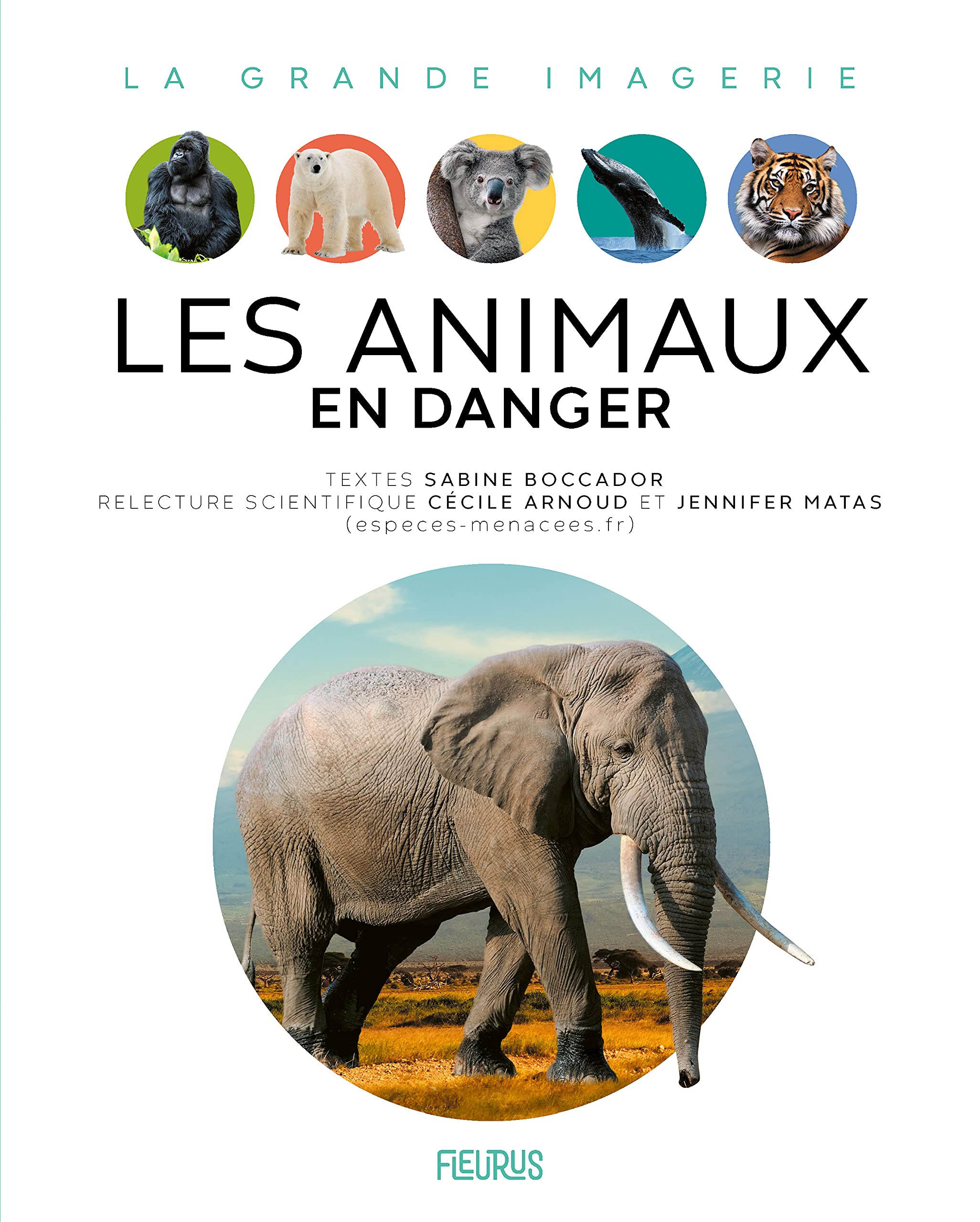 Animaux Africains En Voie De Disparition | siapp.cuaed.unam.mx
