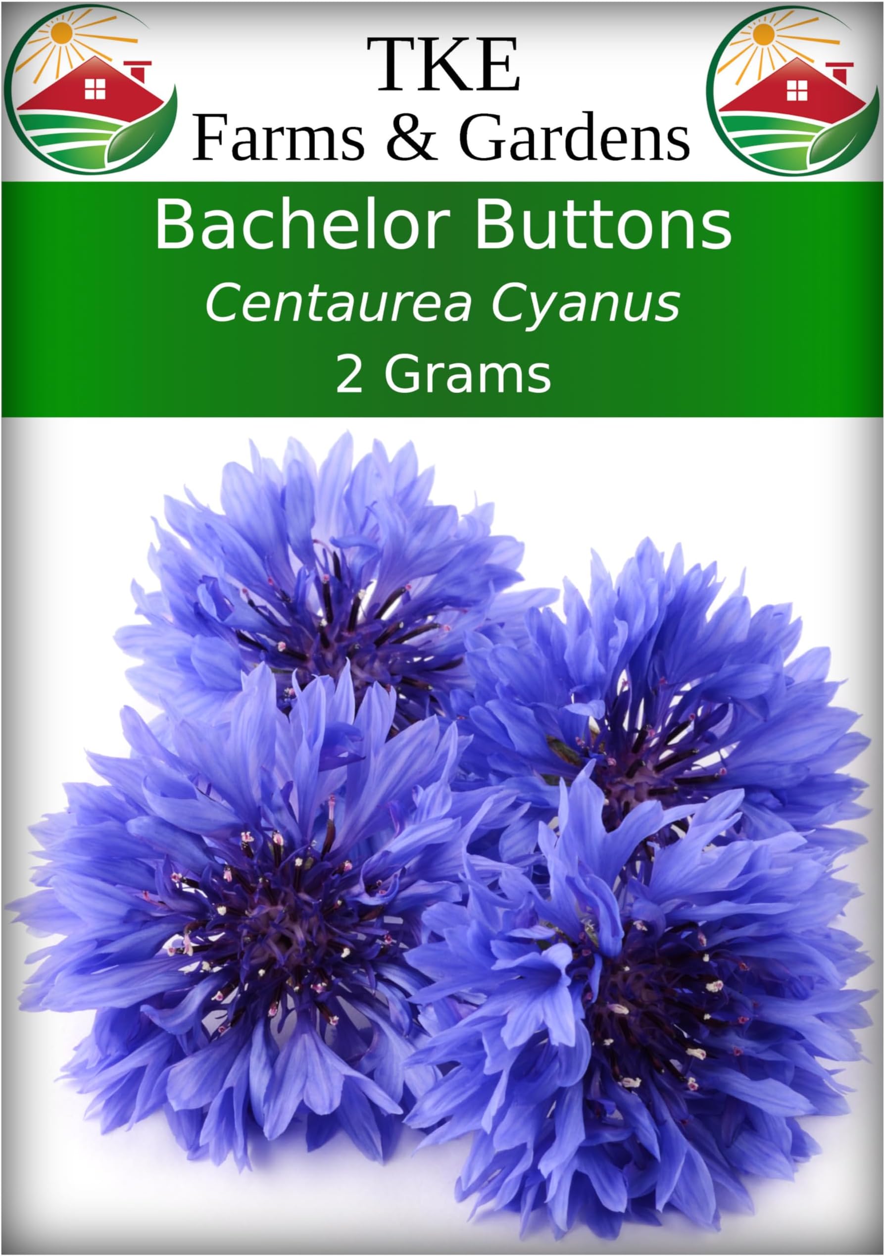 Amazon.com : TKE Farms & Gardens - Blue Cornflower Seeds for Planting ...