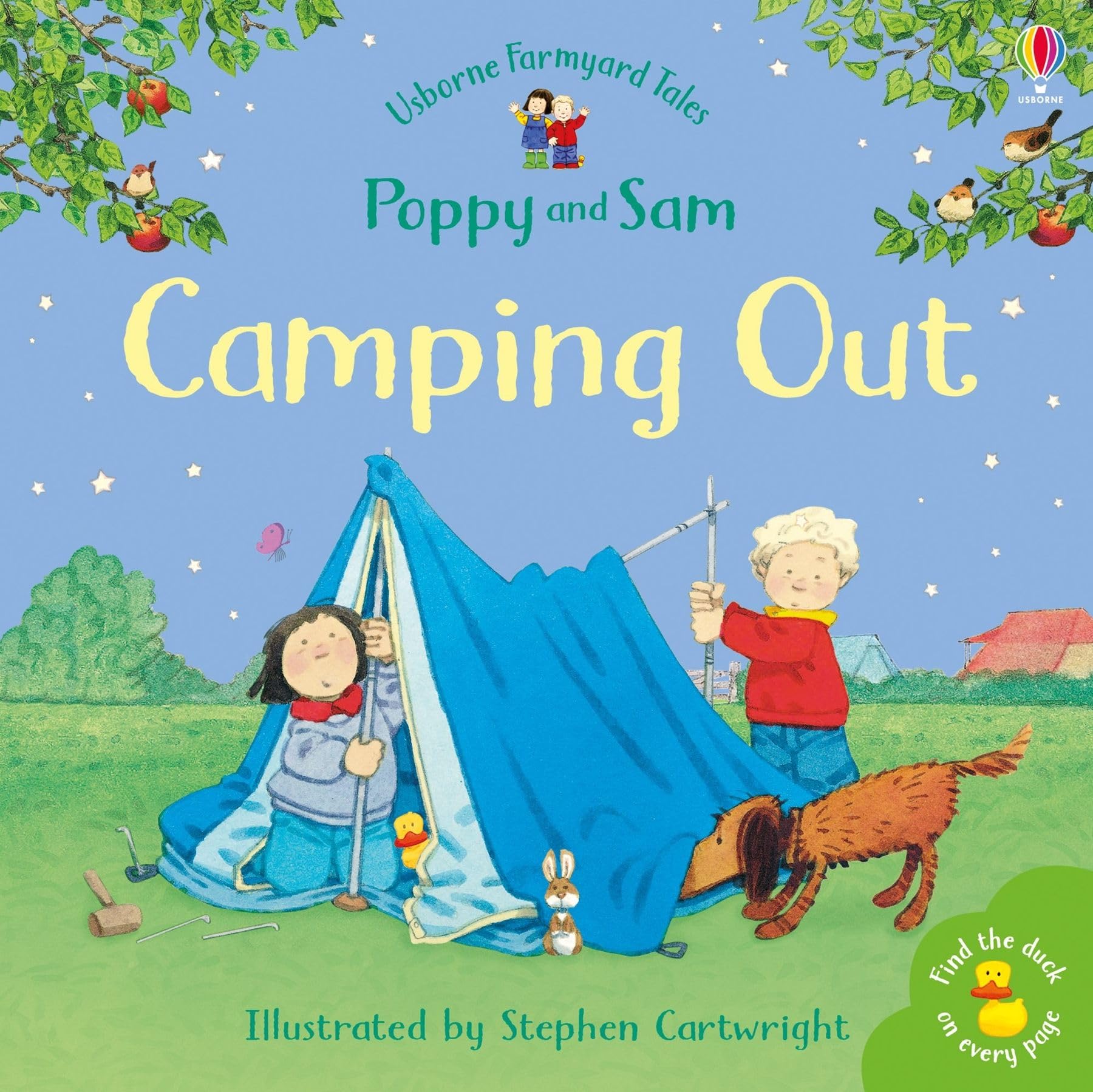 Camping Out (Mini Farmyard Tales): Amazon.co.uk: Amery, Heather ...