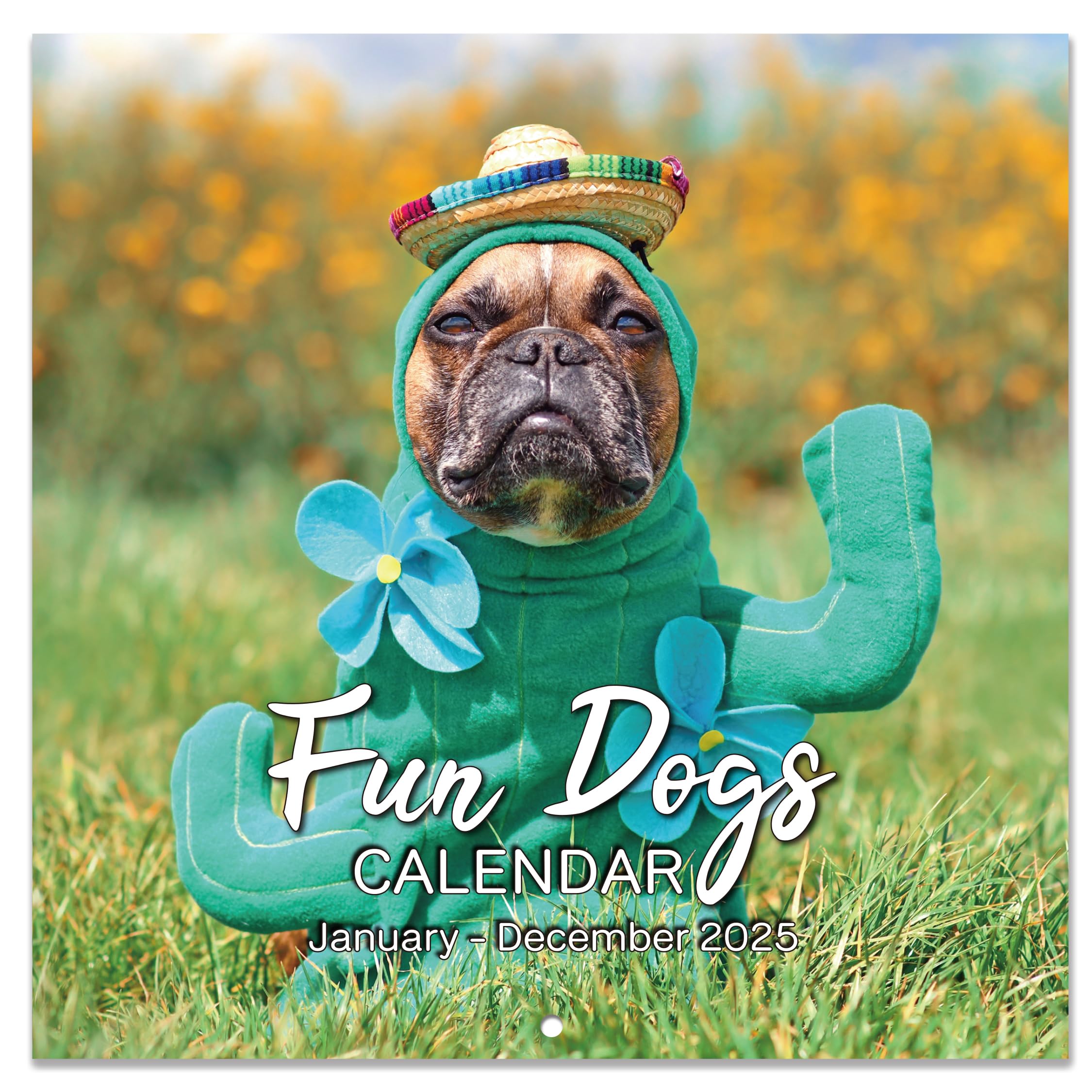 Snapklik.com : 2025 Wall Calendar - Cute Puppies Wall Calendar 2025, 12 ...