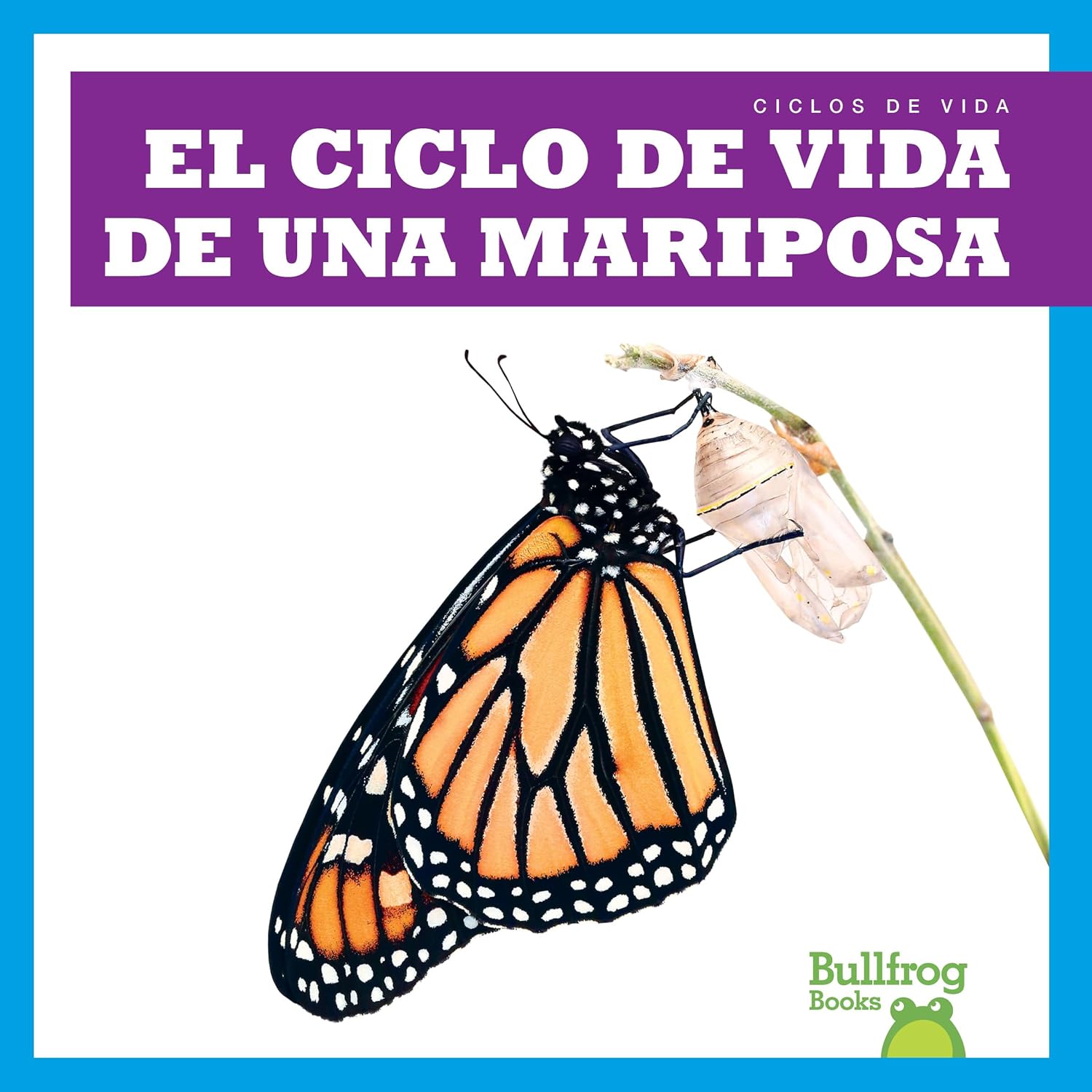 Amazon.com: El ciclo de vida de una mariposa (A Butterfly’s Life Cycle ...