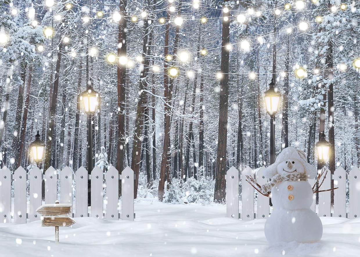 Amazon.com : Funnytree 7x5FT Winter Photography Backdrop Glitter Snowy ...