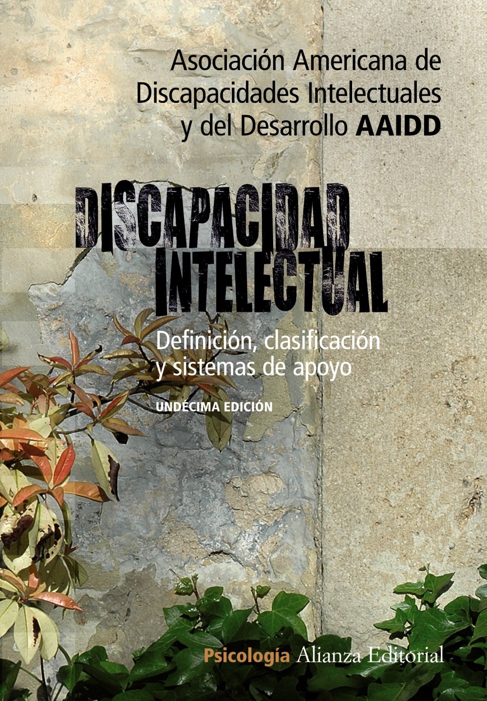 Amazon fr Discapacidad Intelectual Intellectual Disability amazon-fr-discapacidad-intelectual-intellectual-disability