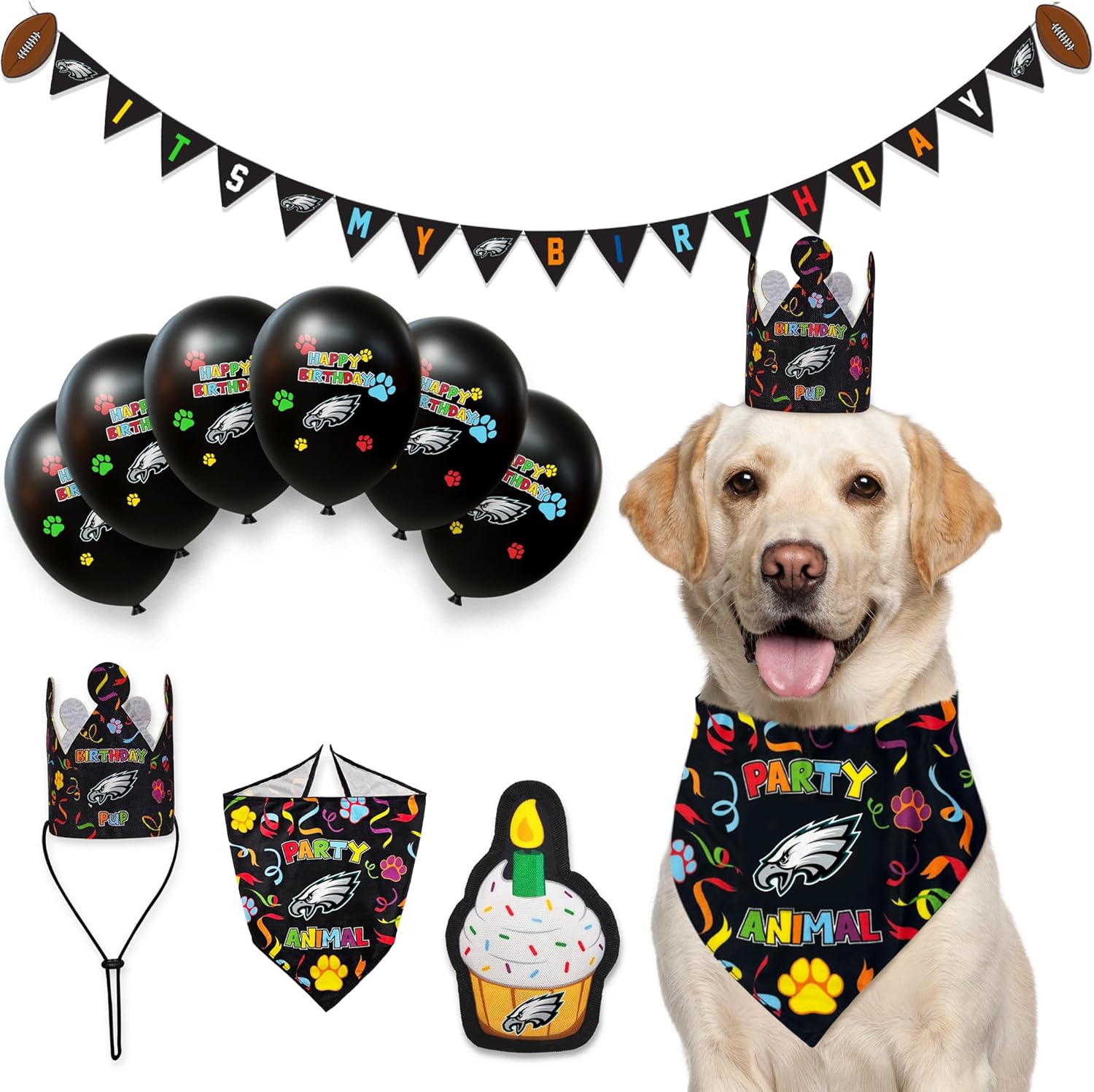 Amazon.com: NFL Philadelphia Eagles Dog Birthday Party Set 10pcs with 1 ...