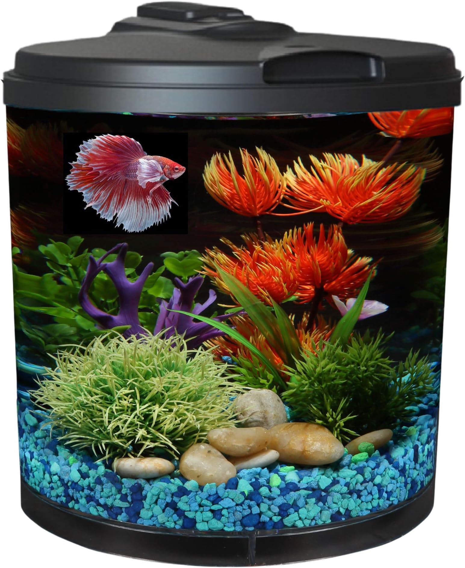 Koller Products AquaView 2-Gallon Plastic 360 Aquarium with Power ...
