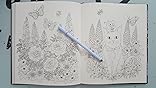 Nightfall Coloring Book: Originally Published in Sweden as ...