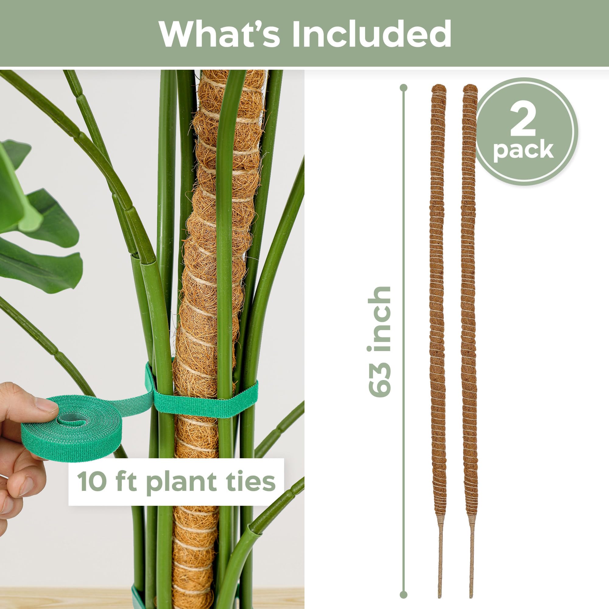 Snapklik.com : 2 Pack Moss Pole - 63 Monstera Plant Support - Moss ...
