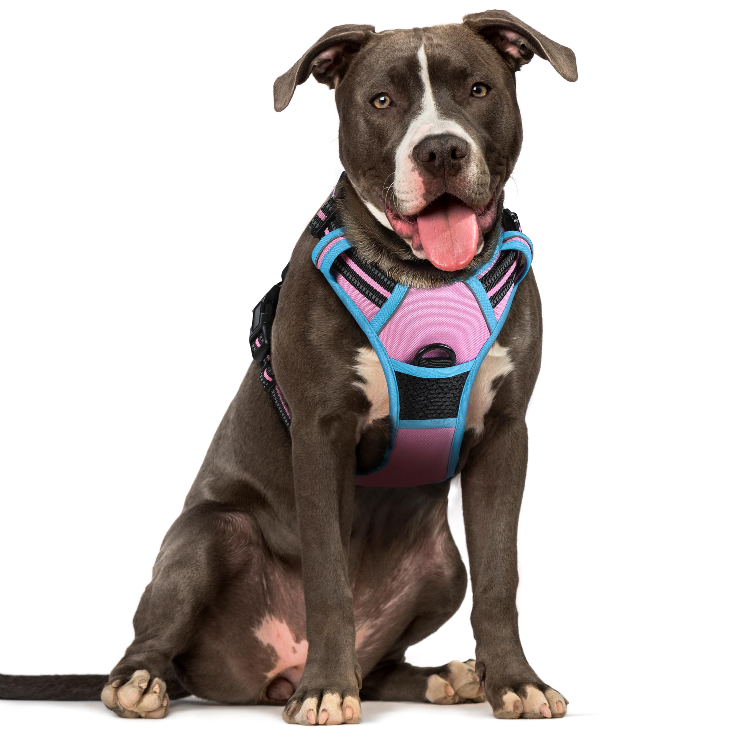 Amazon.com : rabbitgoo Dog Harness, No-Pull Pet Harness with 2 Leash ...