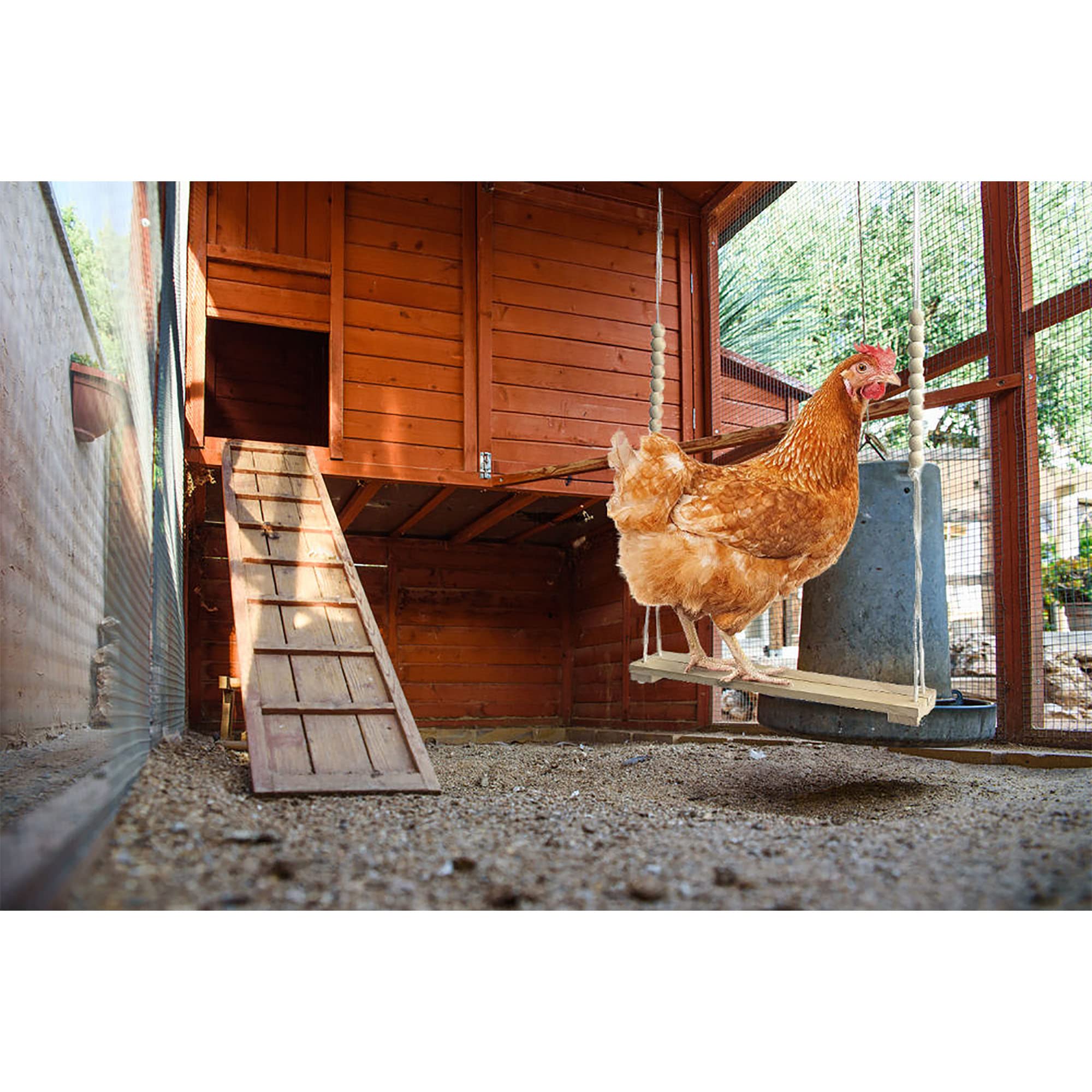 Chicken Entertainment Toy Chicken Swing For Coop - Adjustable Hardwood ...