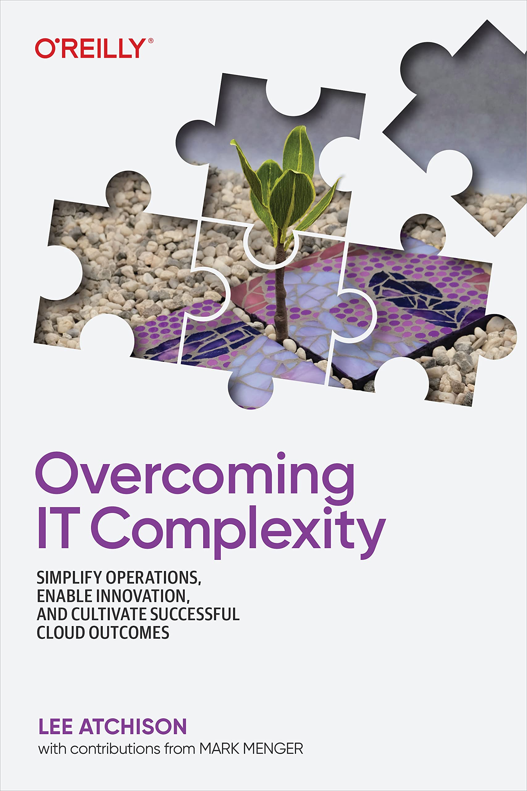 Amazon.com: Overcoming IT Complexity: Simplify Operations, Enable ...