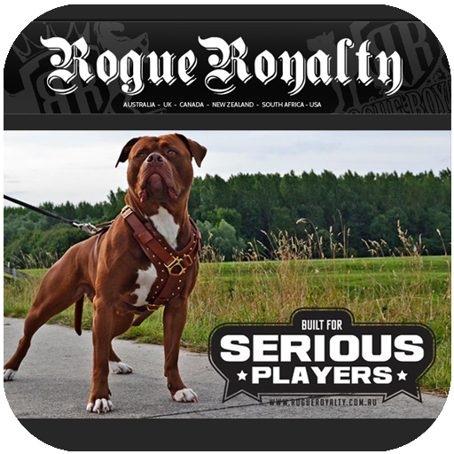 Rogue Royalty - App on the Amazon Appstore