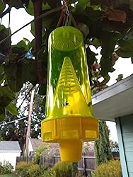 Amazon.com : RESCUE! Reusable Yellowjacket Trap – Includes Attractant ...