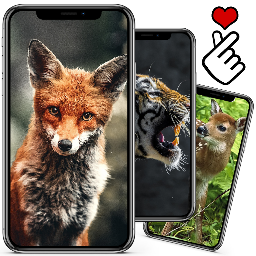 Wild Animals Top Wallpapers HD - App on Amazon Appstore