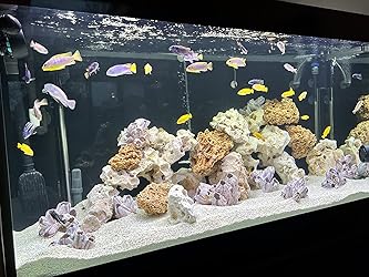Fish Tank Stones Rocks for Aquarium - Natural Decoration - Improves ...