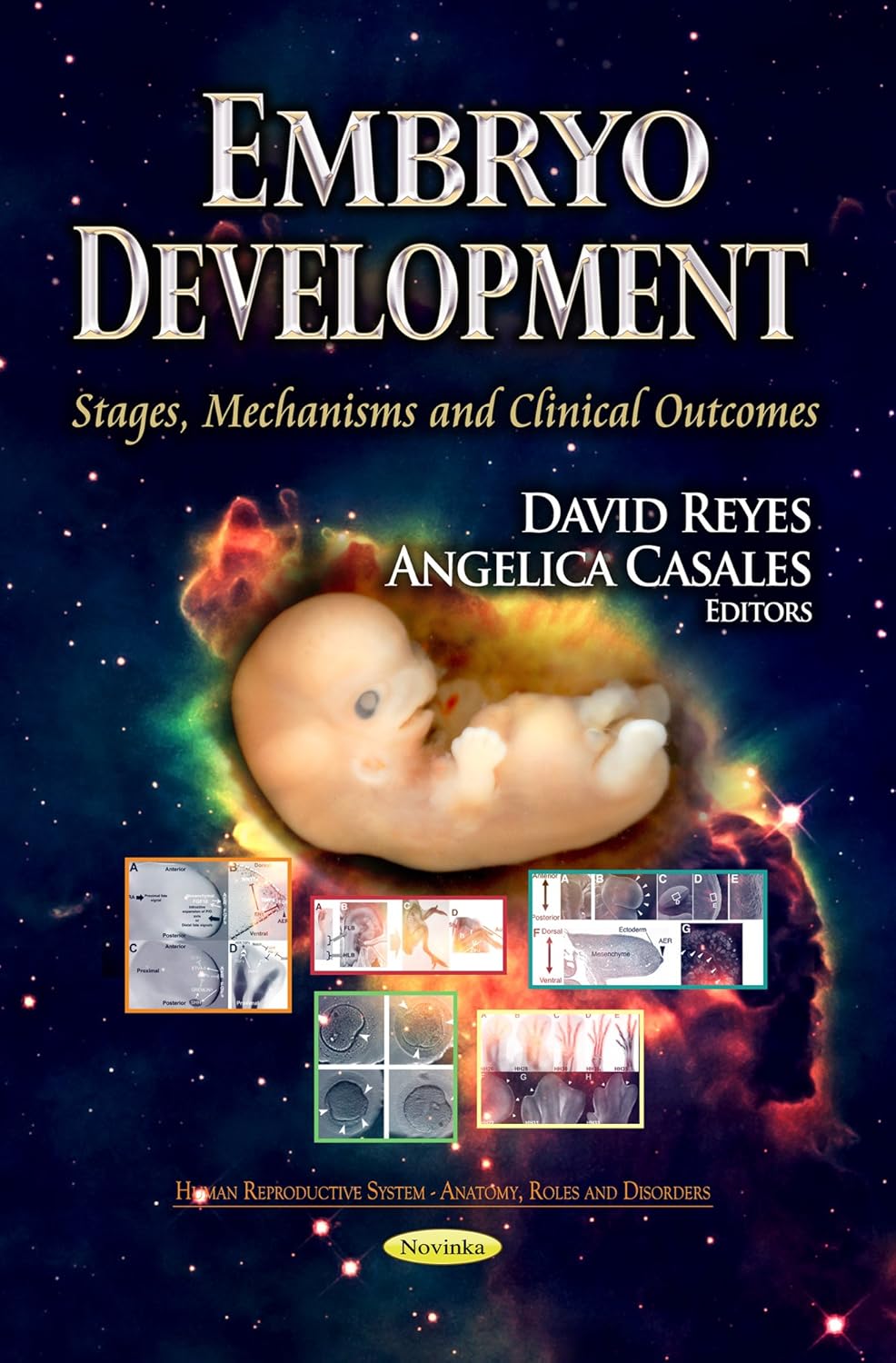 Embryo Development: Stages, Mechanisms and Clinical Outcomes (Human ...