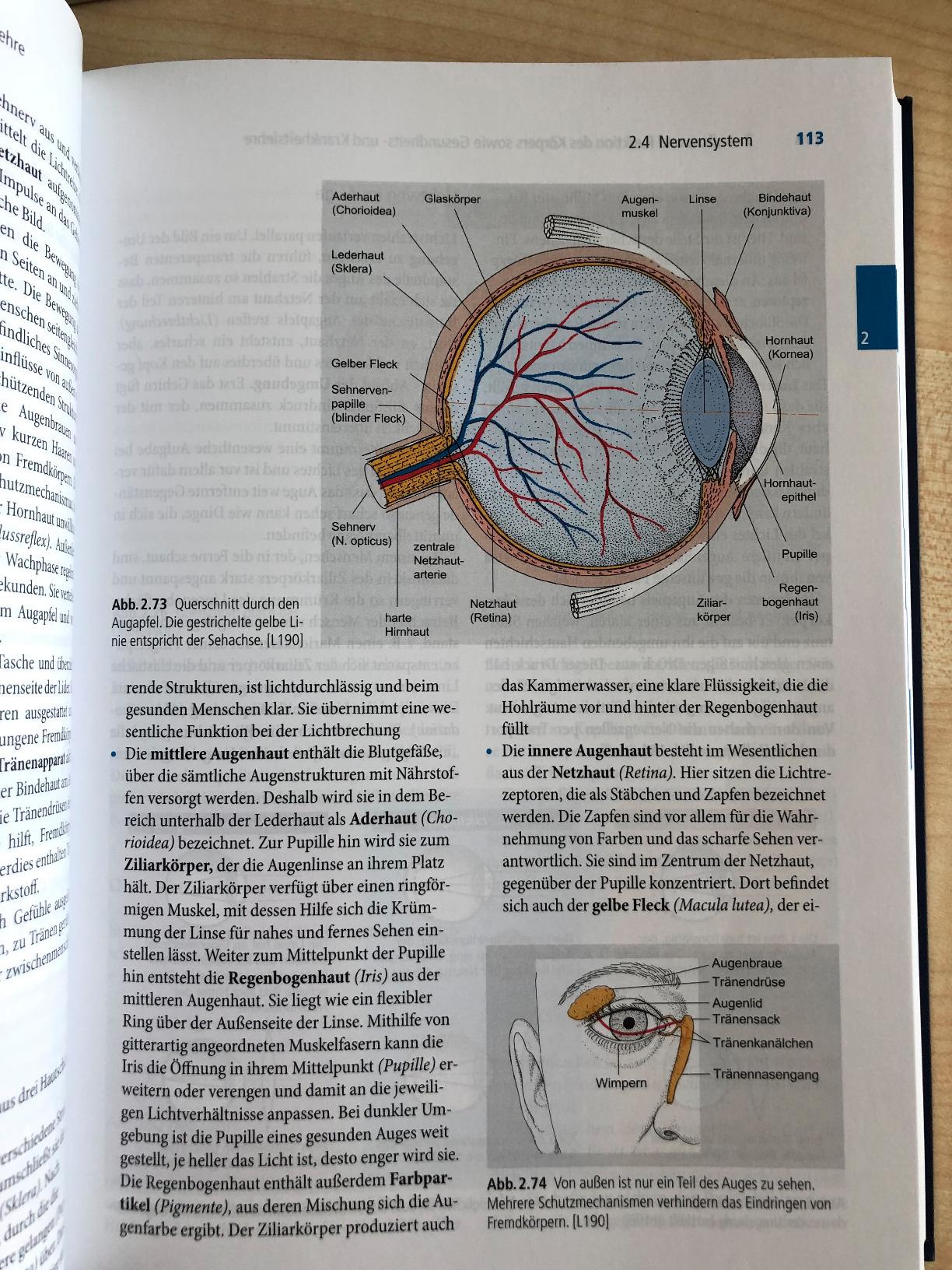 Krankenpflegehilfe Altenpflegehilfe: Lehrbuch für die Pflegeassistenz ...