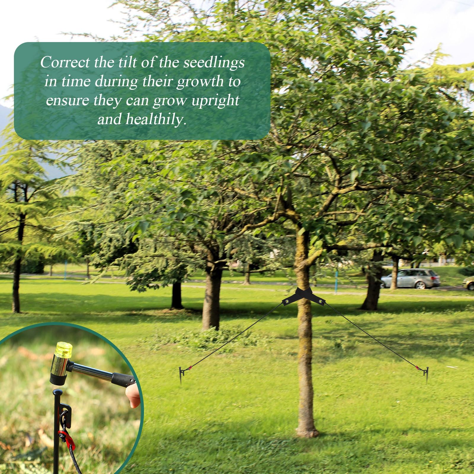 Snapklik.com : Suzile 120 Pcs Tree Stake Kit, Heavy Duty Tree Staking ...