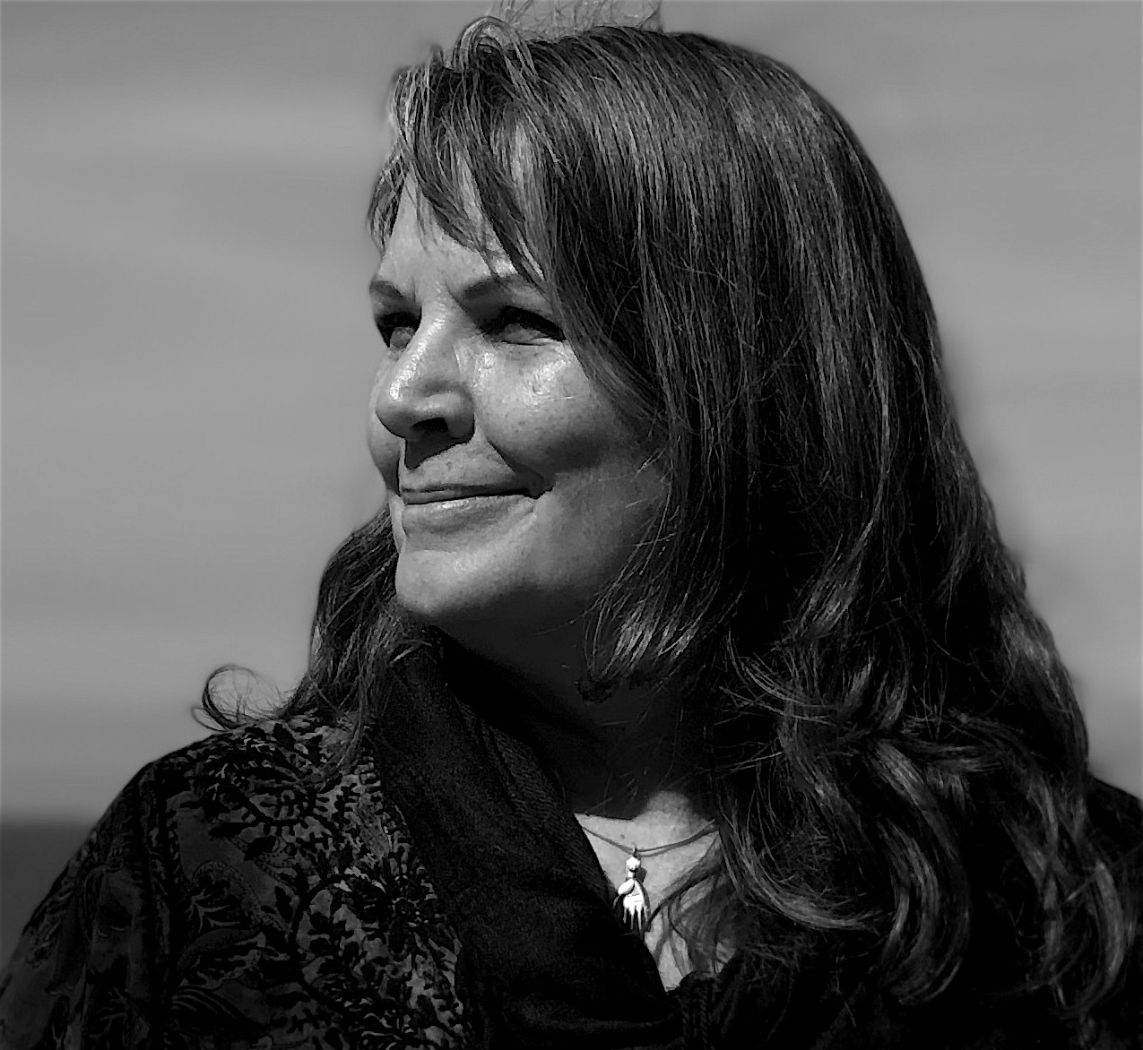 Amazon.com: Lisa Findley: books, biography, latest update