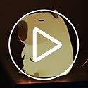 Cute Night Light - Capybara Led Lights - Animal Lamp | USB Rechargeable ...