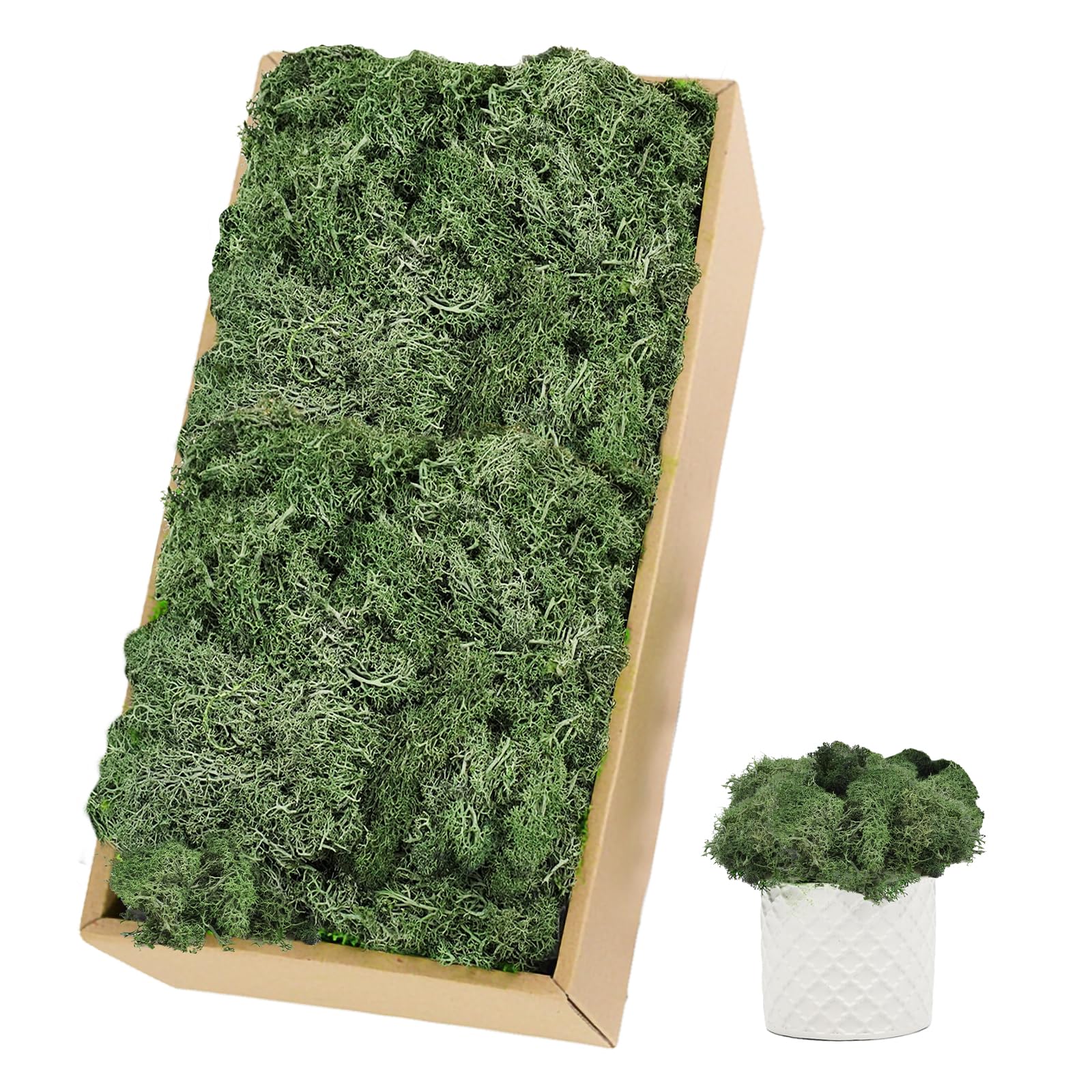 Amazon.com: Prashent Artificial Moss, Fake Green Moss for Plants ...