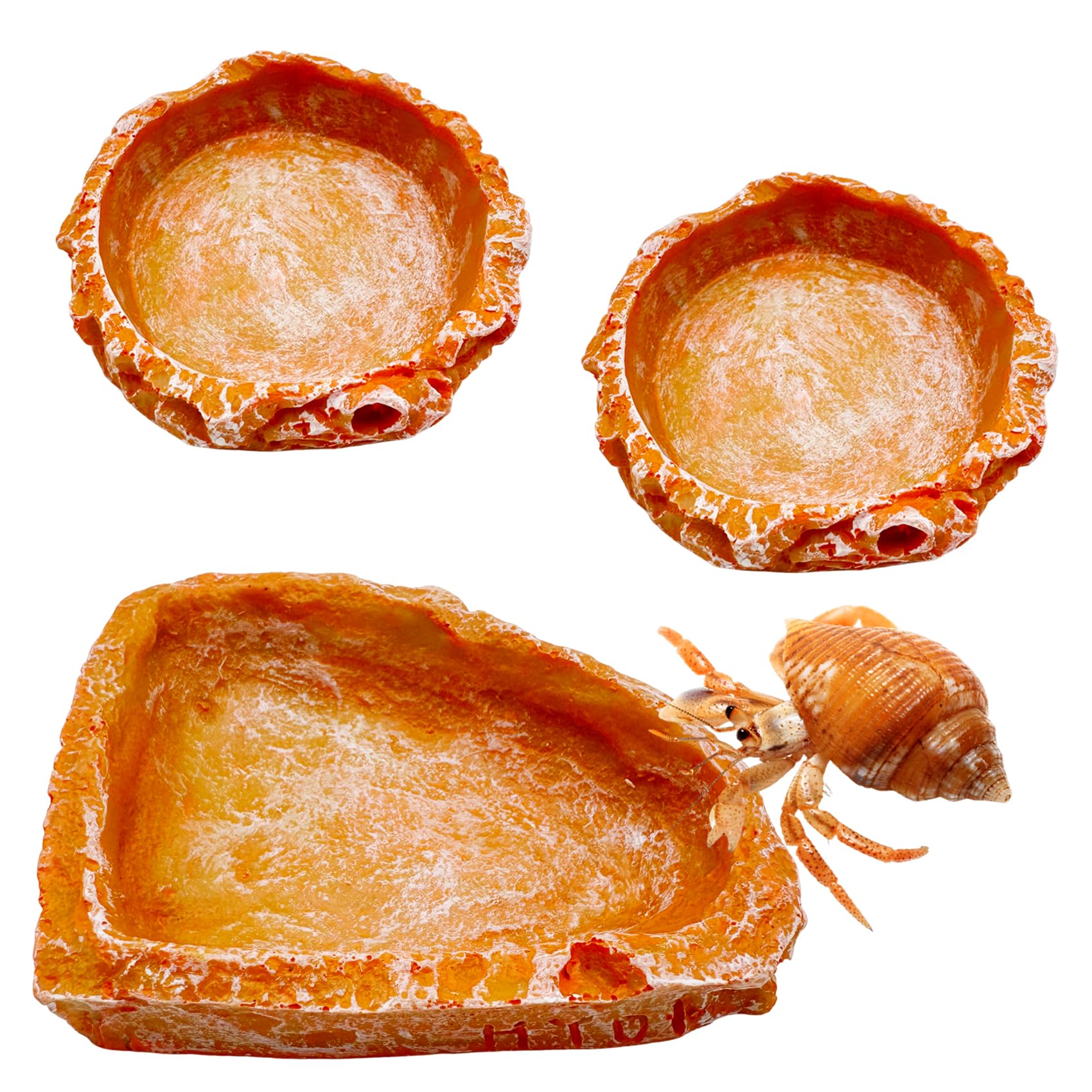 Amazon.com : 3 Pack Reptile Water Dish Food Bowl, Reptile Feeding ...