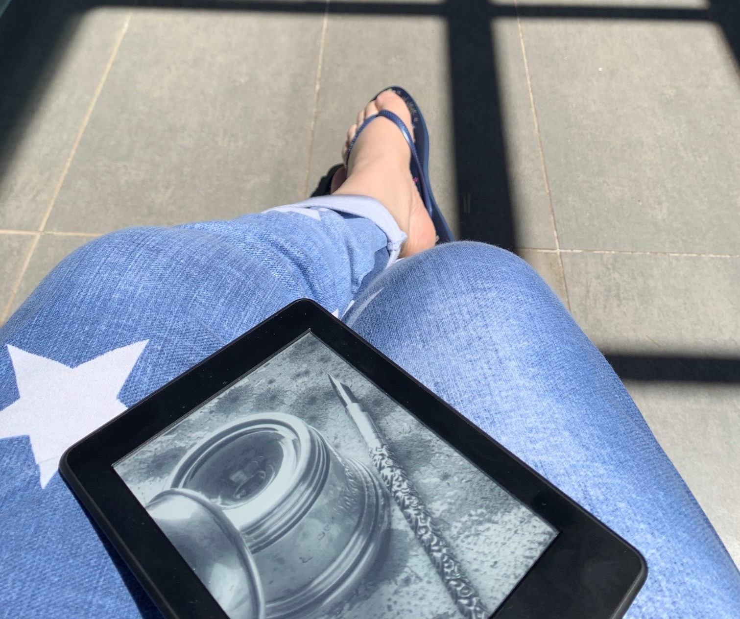 Silver (Martin Scarsden Book 2) eBook : Hammer, Chris: Amazon.com.au ...