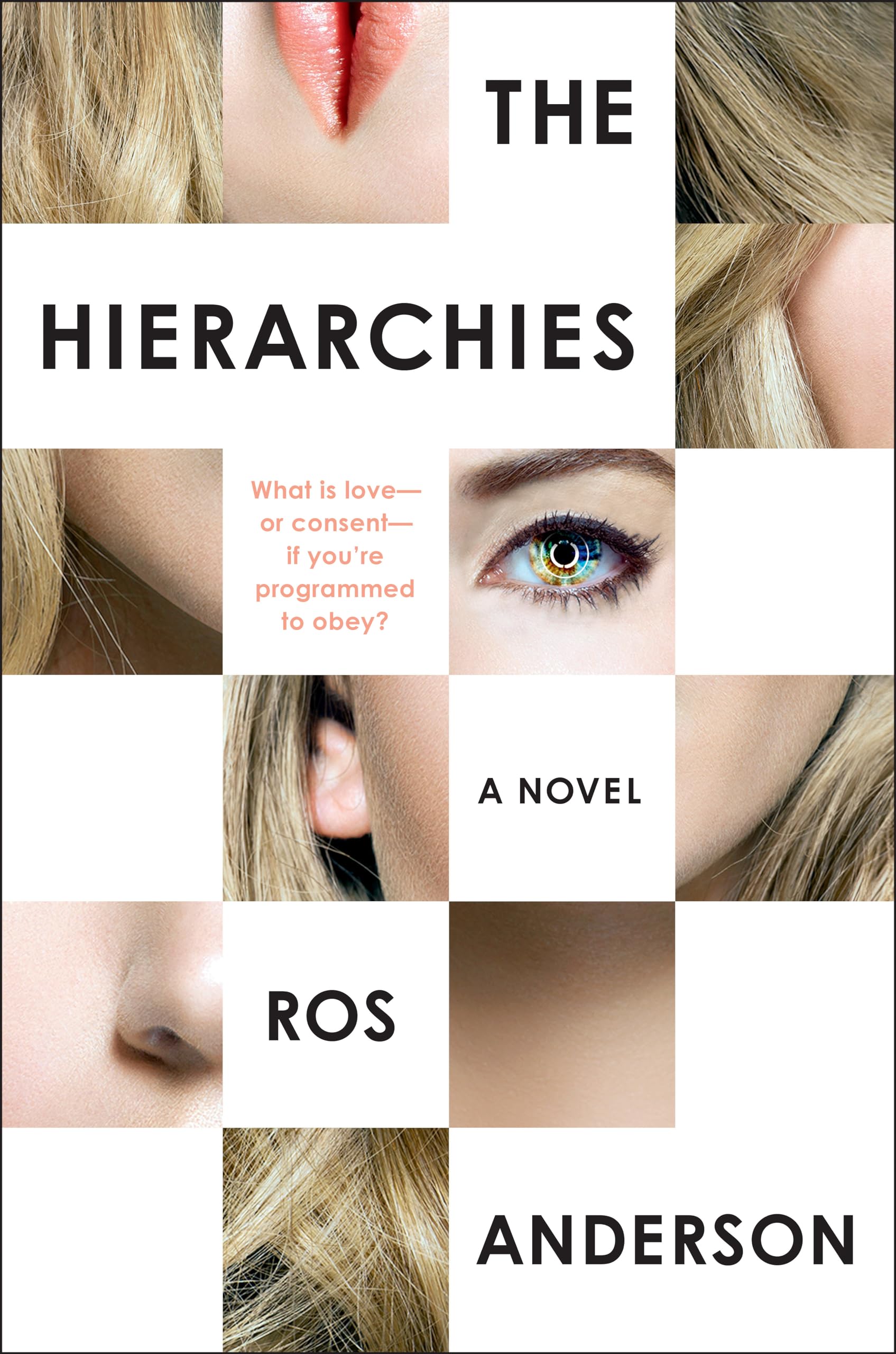 The Hierarchies: A Novel: Anderson, Ros: 9780593182871: Amazon.com: Books