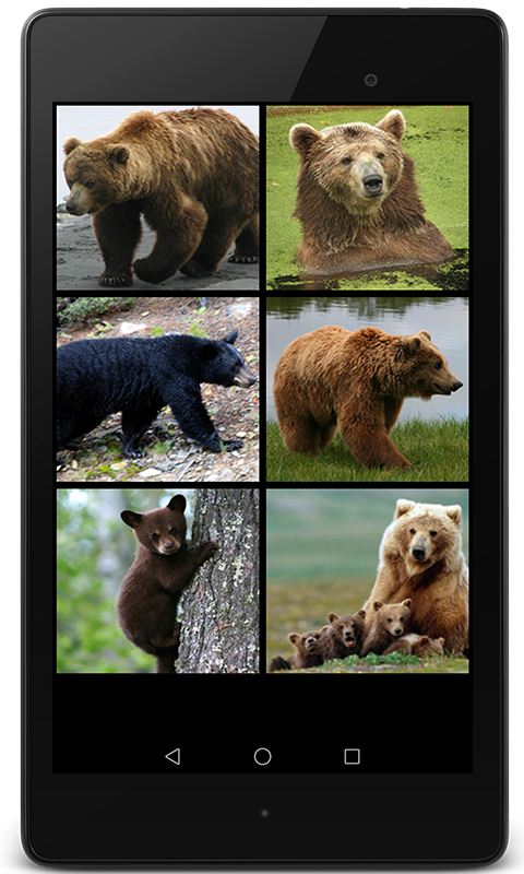 Bear Sounds - App on Amazon Appstore