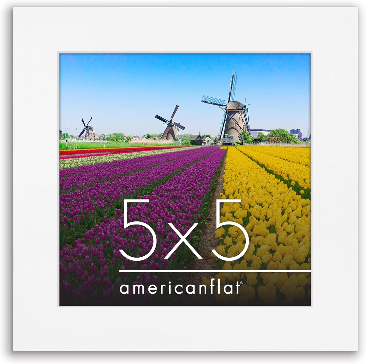 Amazon.com - Americanflat 5x5 Picture Frame with Shatter-Resistant ...