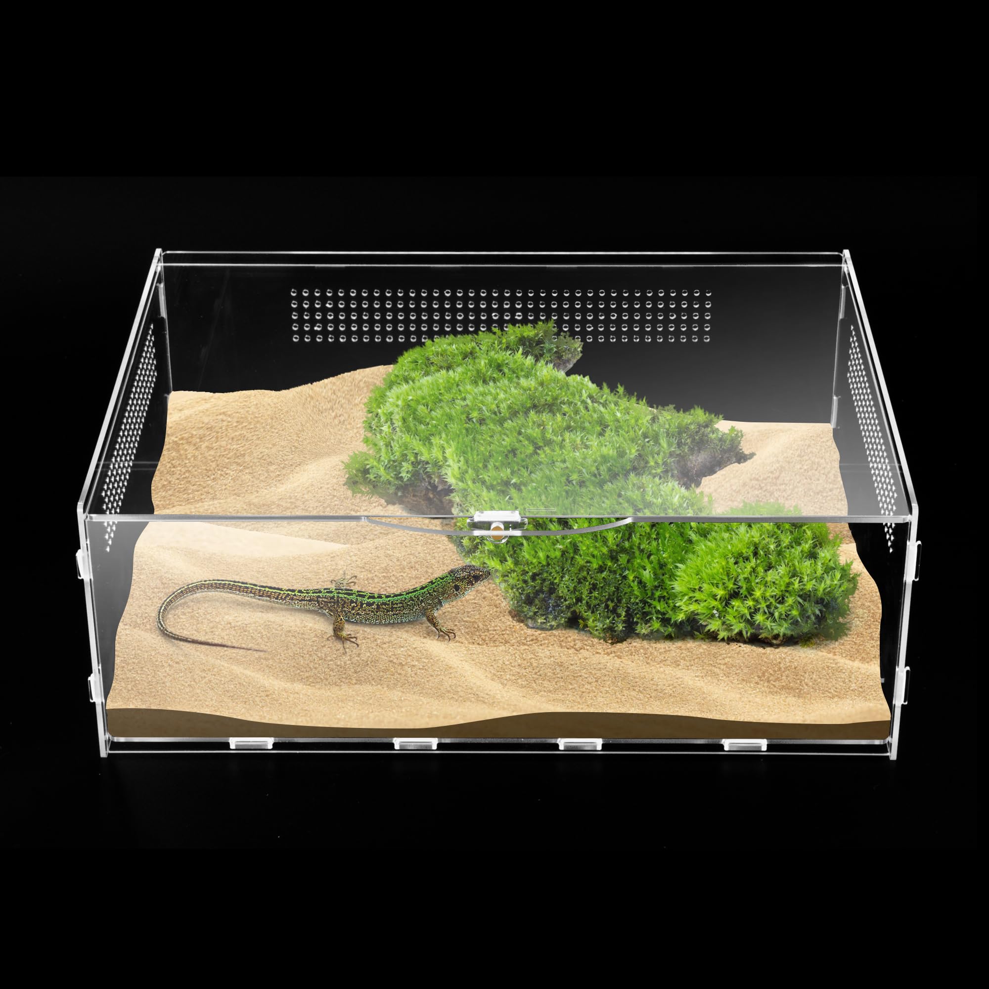 Buy Micro Habitat Terrarium Enclosure, Jumping Spider Enclosure with ...