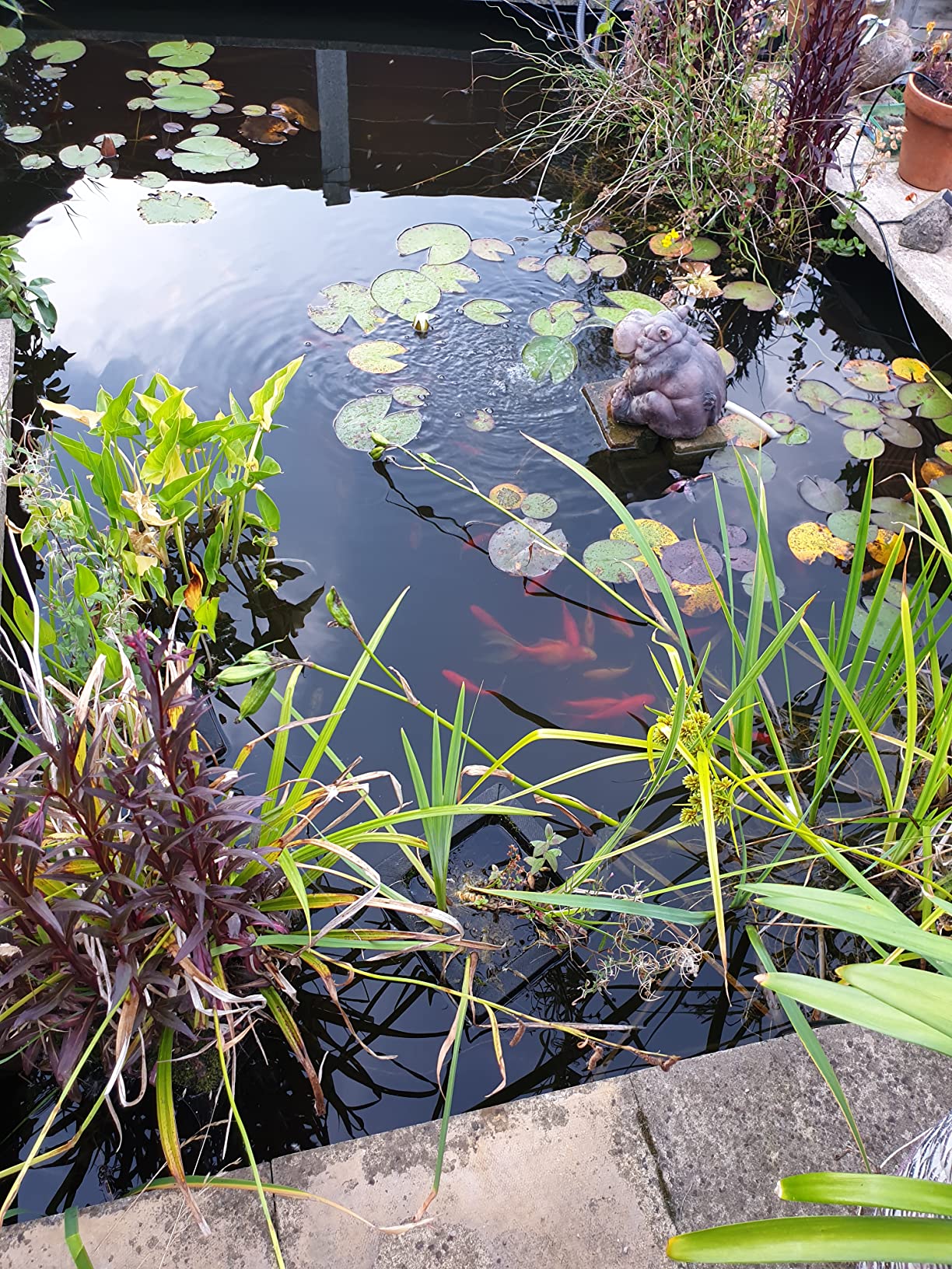 Fish Mate 45000 Pressurised UV + Bio Garden Pond Filter with Powerclenz ...