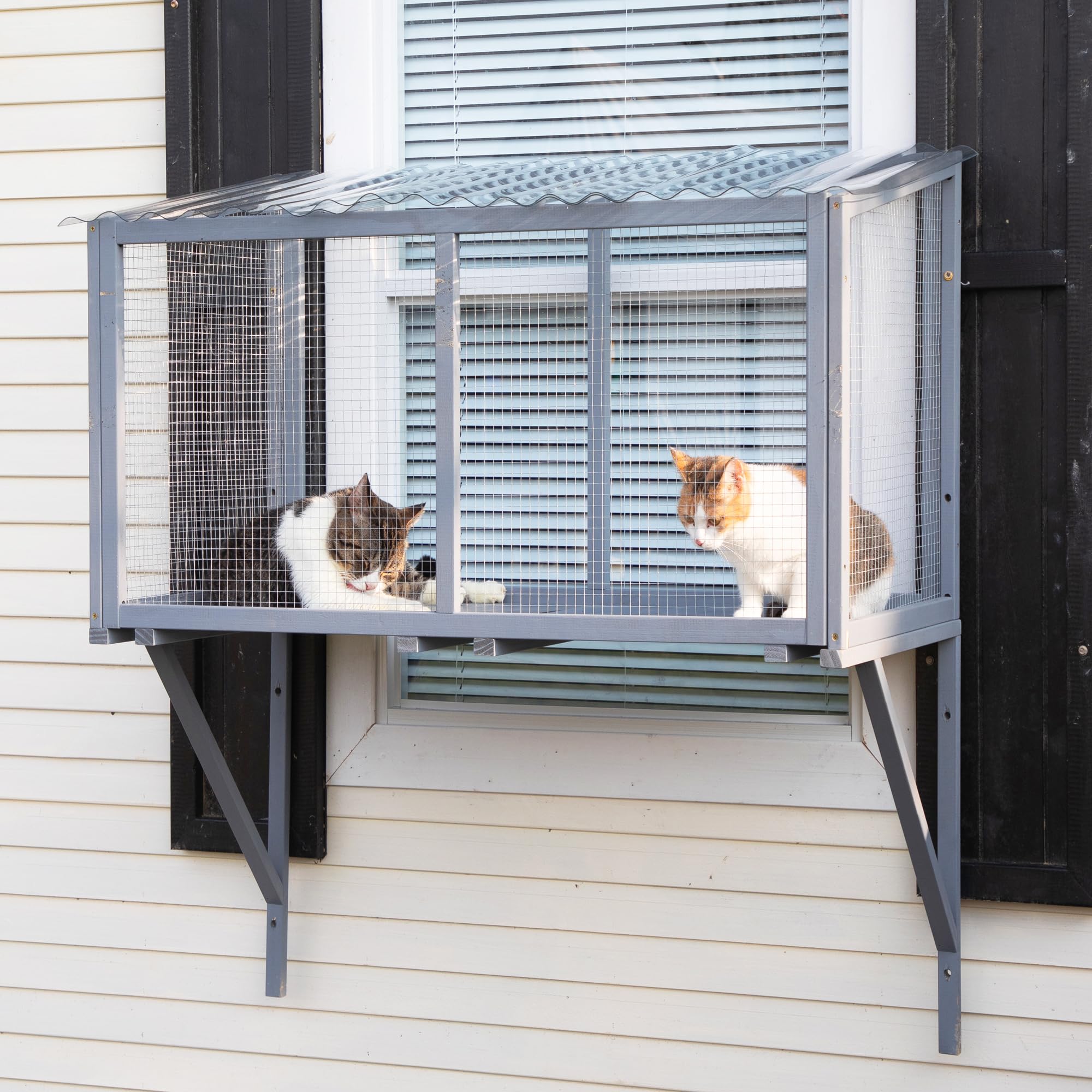 Snapklik.com : Window Catio, Catio Outdoor Cat Enclosure Window Box ...