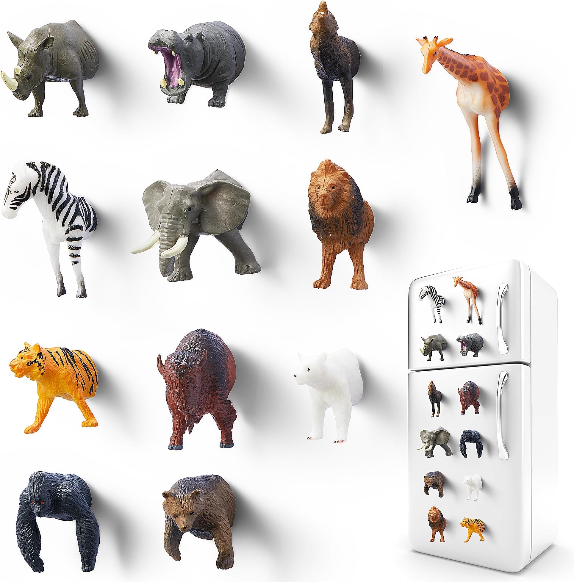 Amazon.com: 12 Insect Magnets - Bring The Nature to Your Fridge with ...