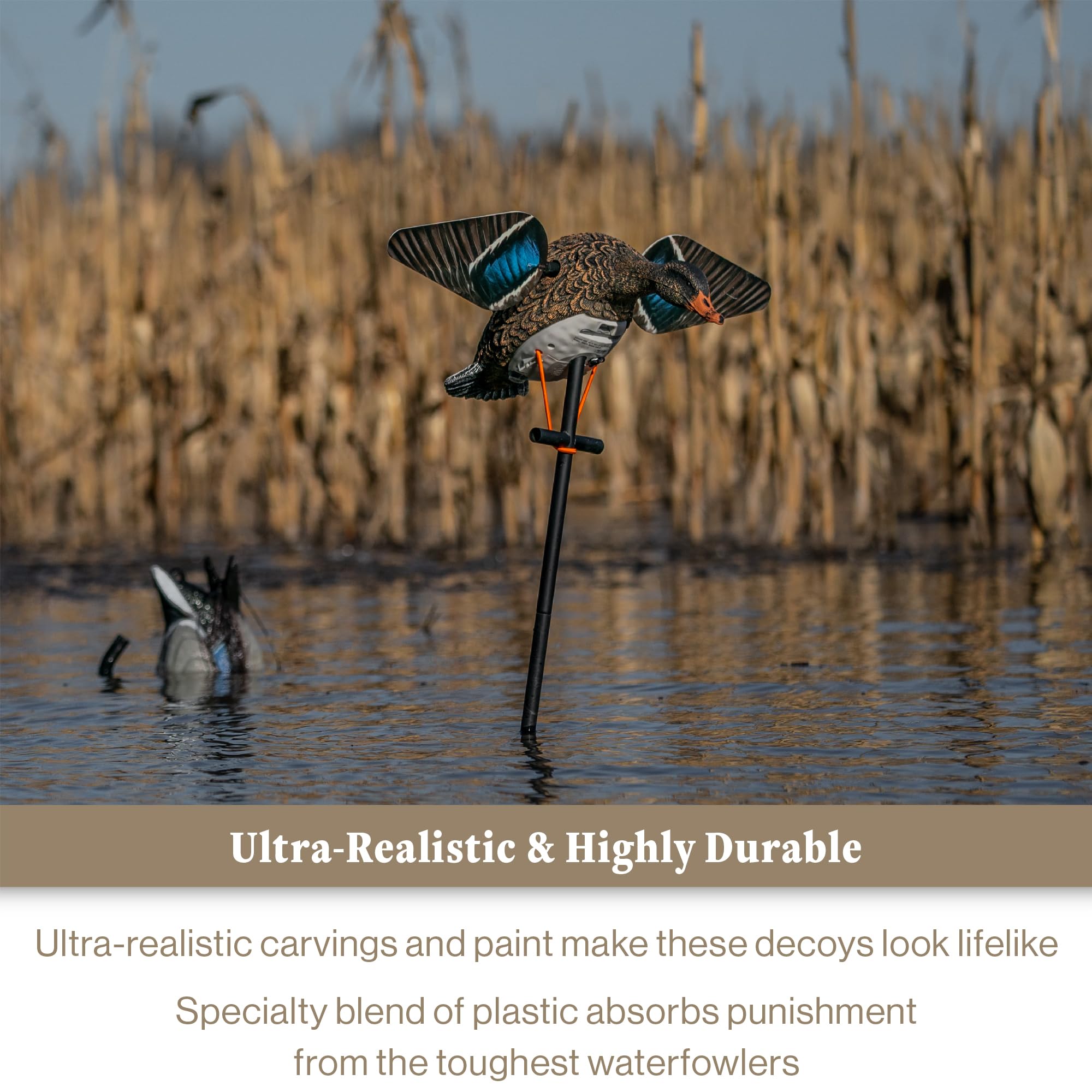 Snapklik.com : Lucky Duck Spinning Wing Motion Duck Decoys For Hunters
