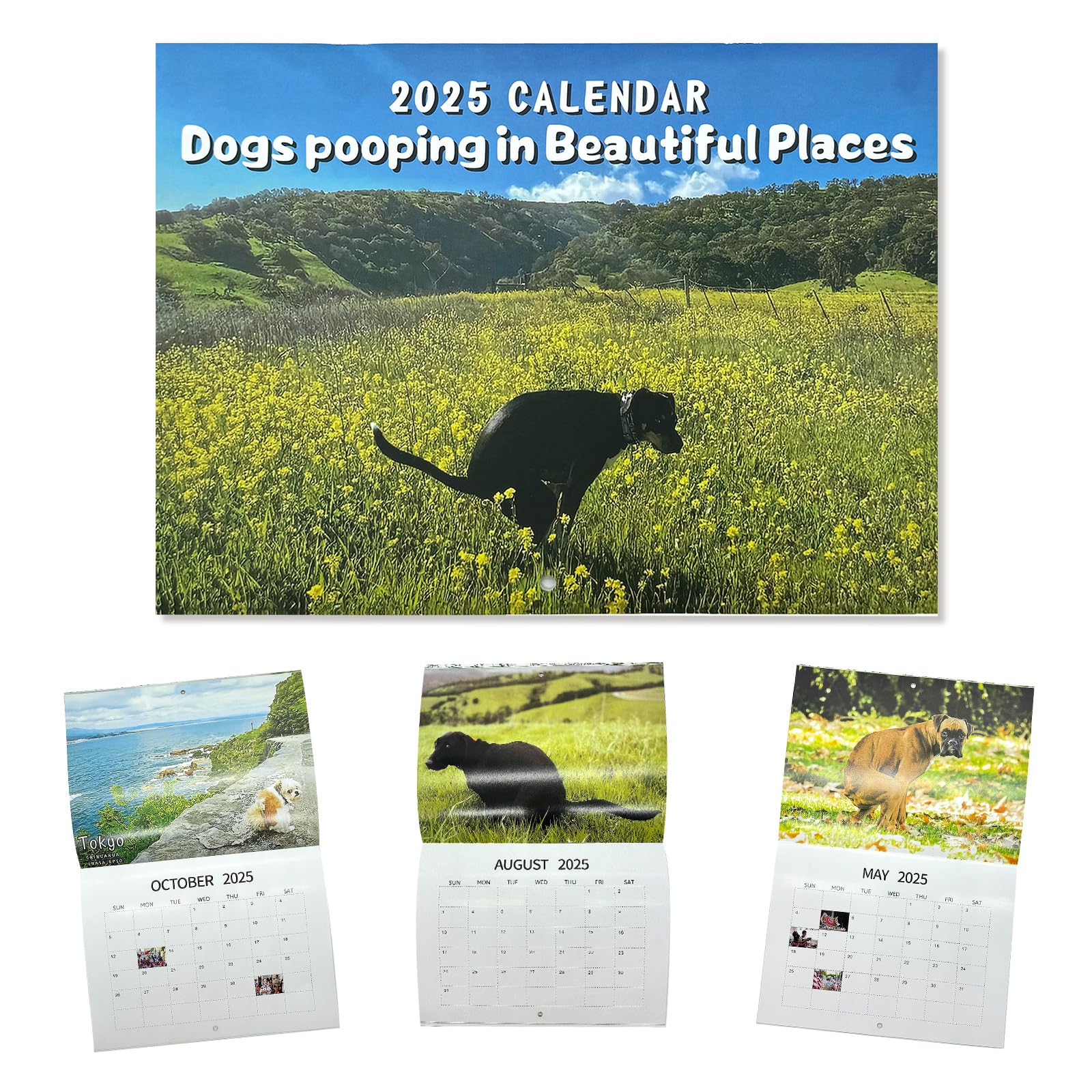 JAMSSOW 2025 Dogs Pooping in Beautiful Places Calendar,Humor Dog ...