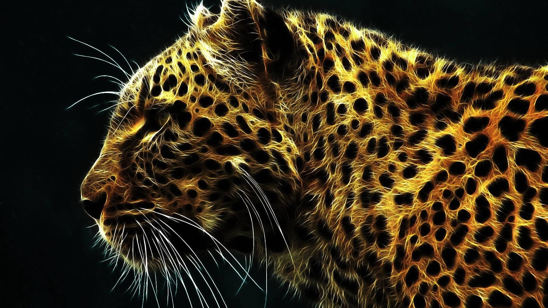 Animais Amazon Wallpaper 1920x1080 Amazon Animals Wallpapers