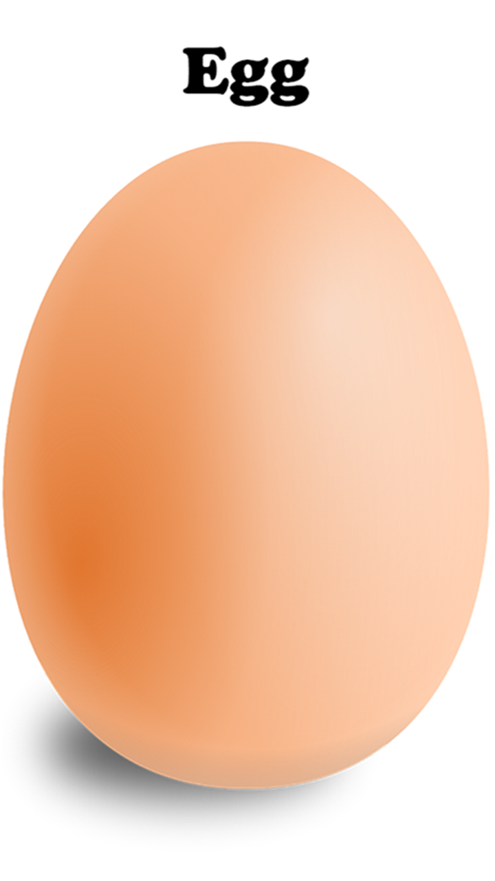 Egg - App on Amazon Appstore