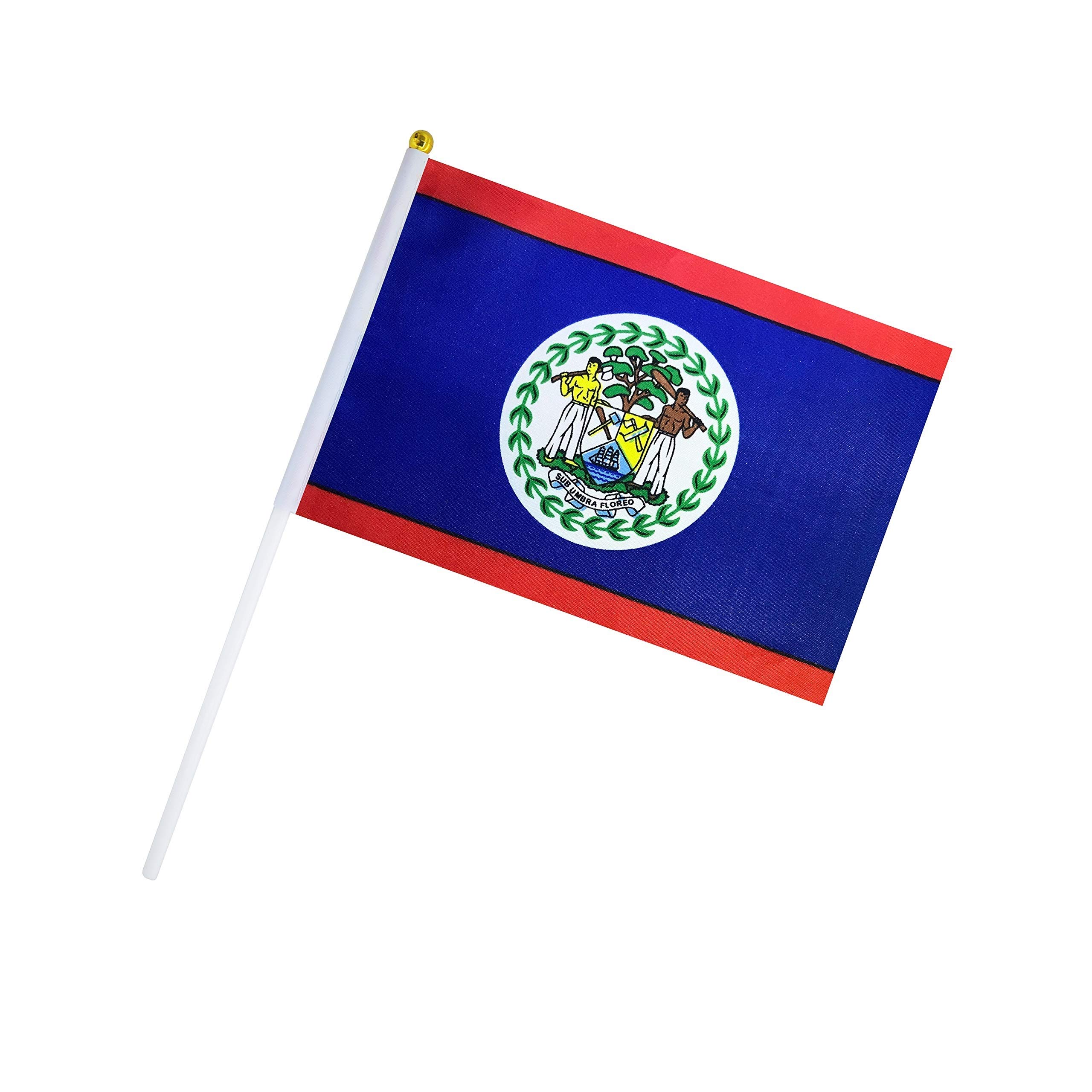Amazon.com: Hand Held Belize Flag Belizeans Flag Stick Flag Small Mini ...