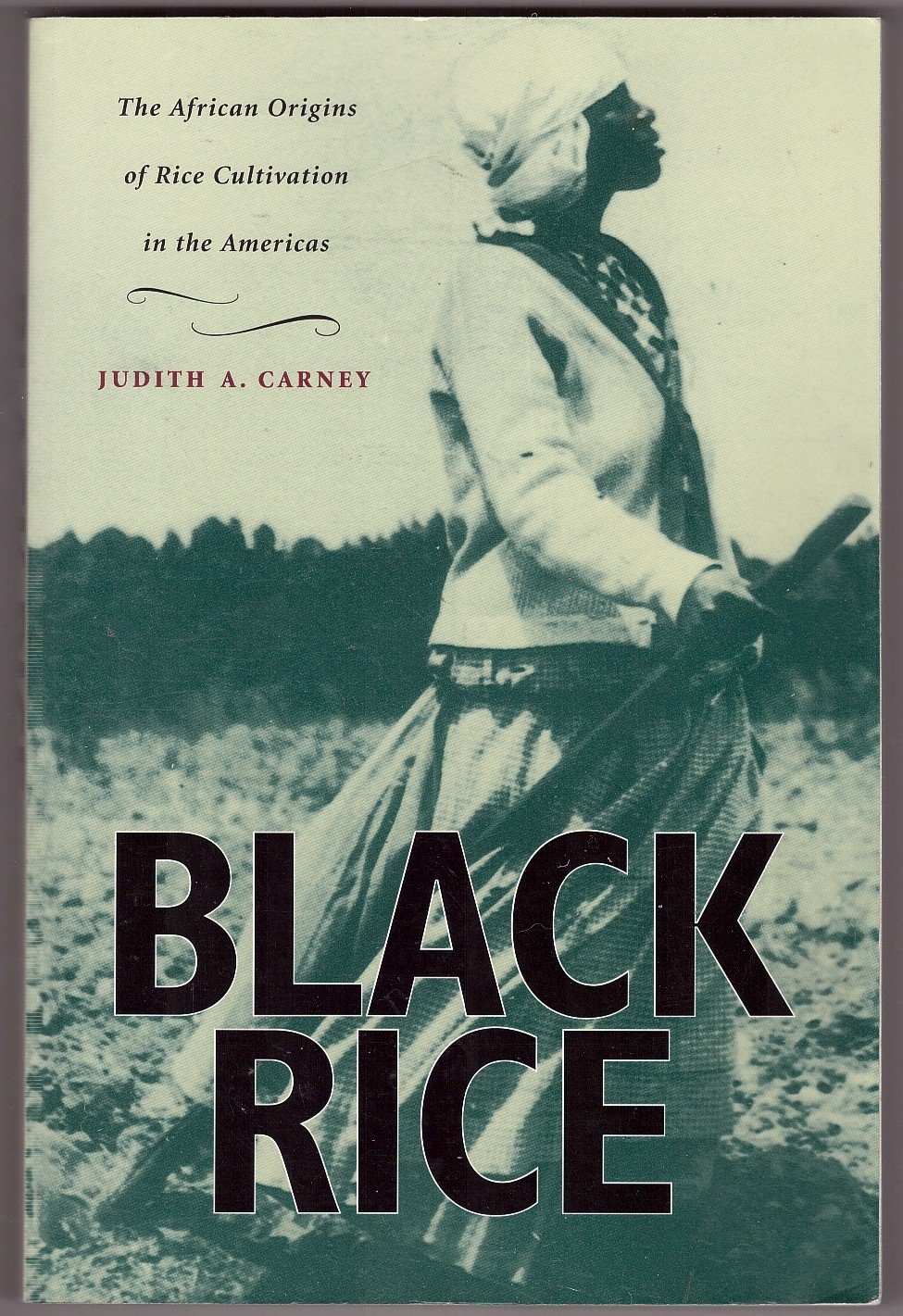 Black Rice: The African Origins of Rice Cultivation in the Americas ...