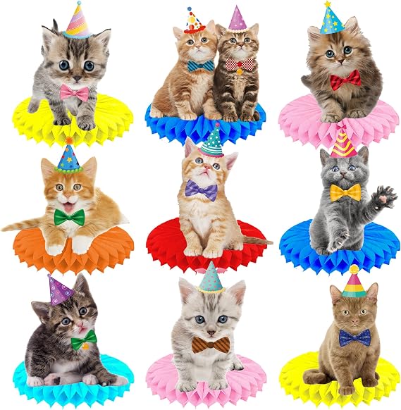11Pcs Baby Cat Honeycomb Centerpieces Pet Cat Themed Birthday Party ...