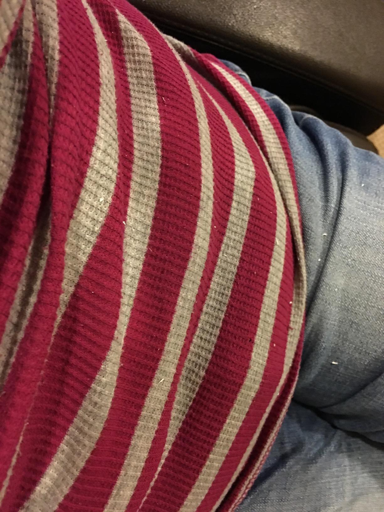 Gregg Reference Manual- A Manual of Style, Grammar, Usage, & Formatting ...